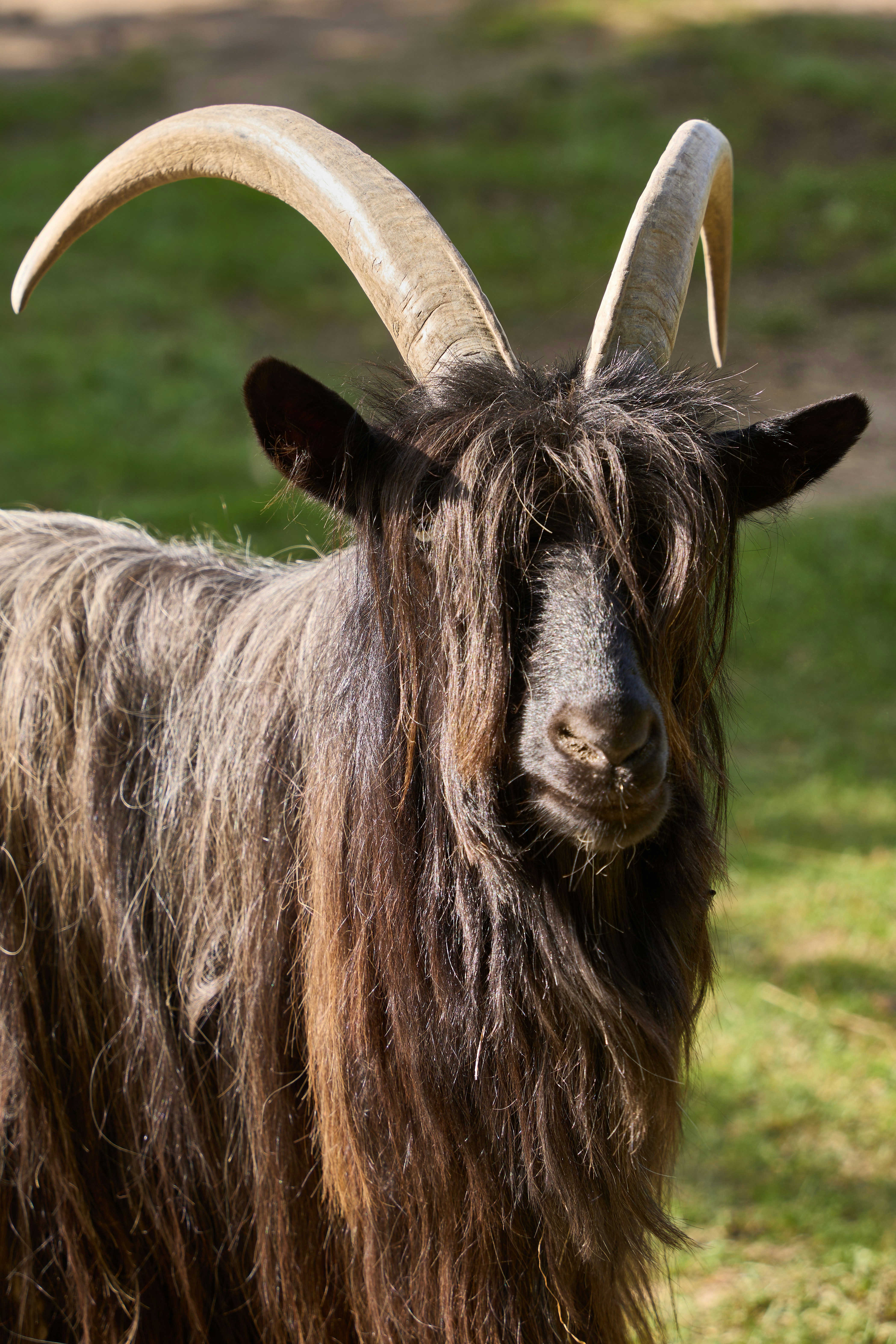 Photo by Wolfgang Hasselmann with Sony Alpha 7 IV