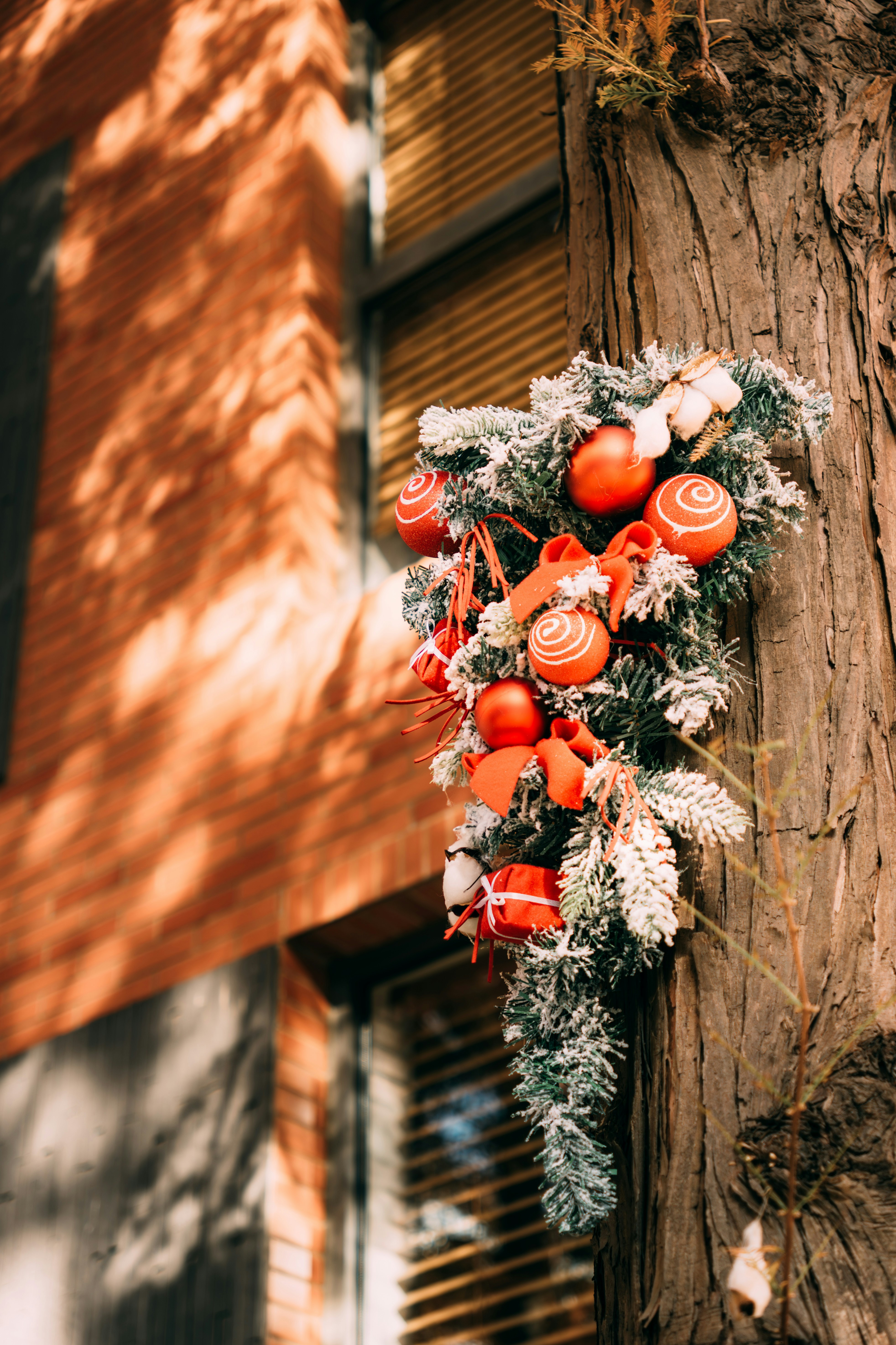 Frost-Crowned Wreath Clasped to a Bark-Wrapped Tree Beside a Brick Building