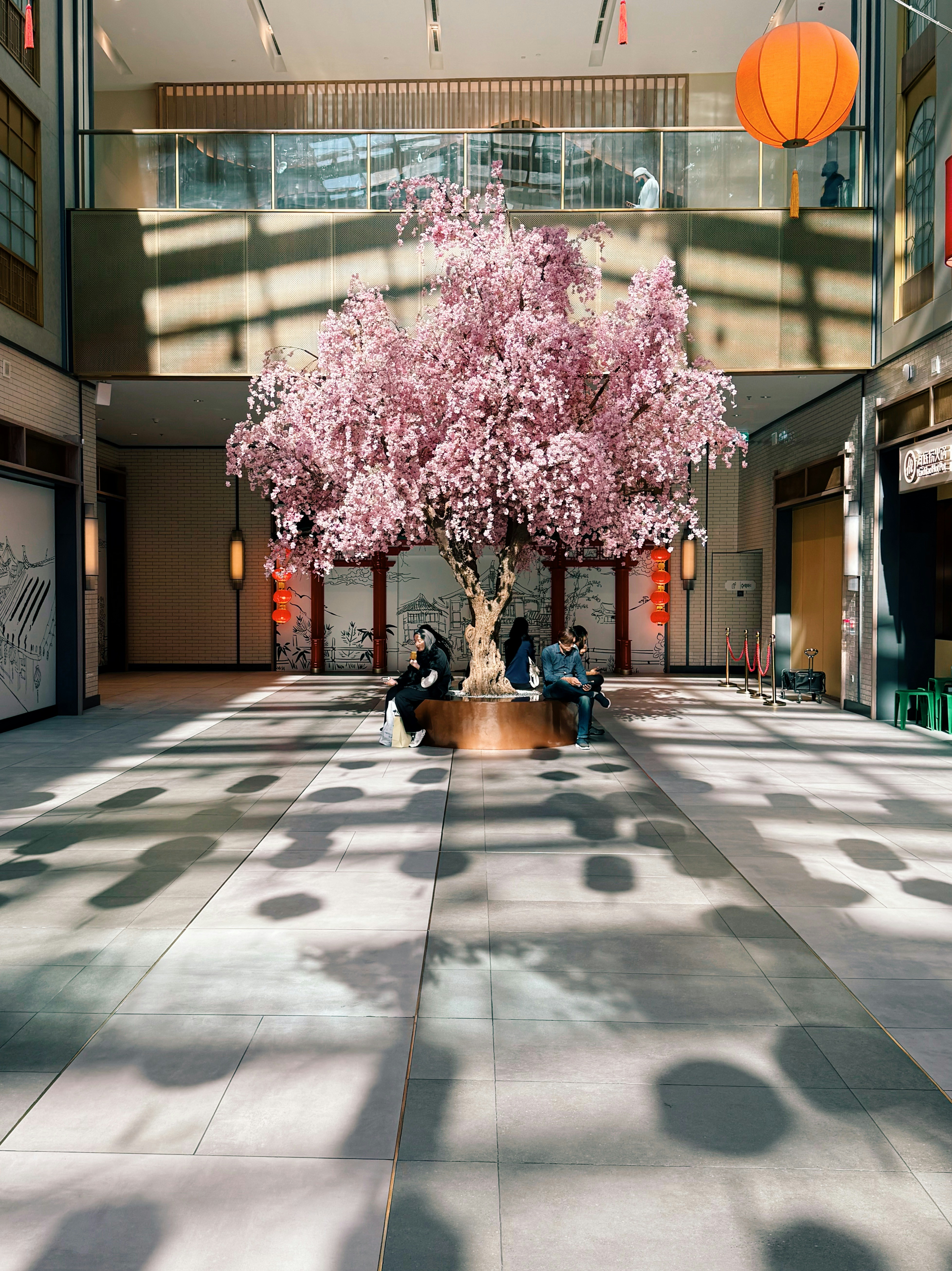 Indoor cherry blossom tree with pink blooms casting intricate shadows on tiled floor.