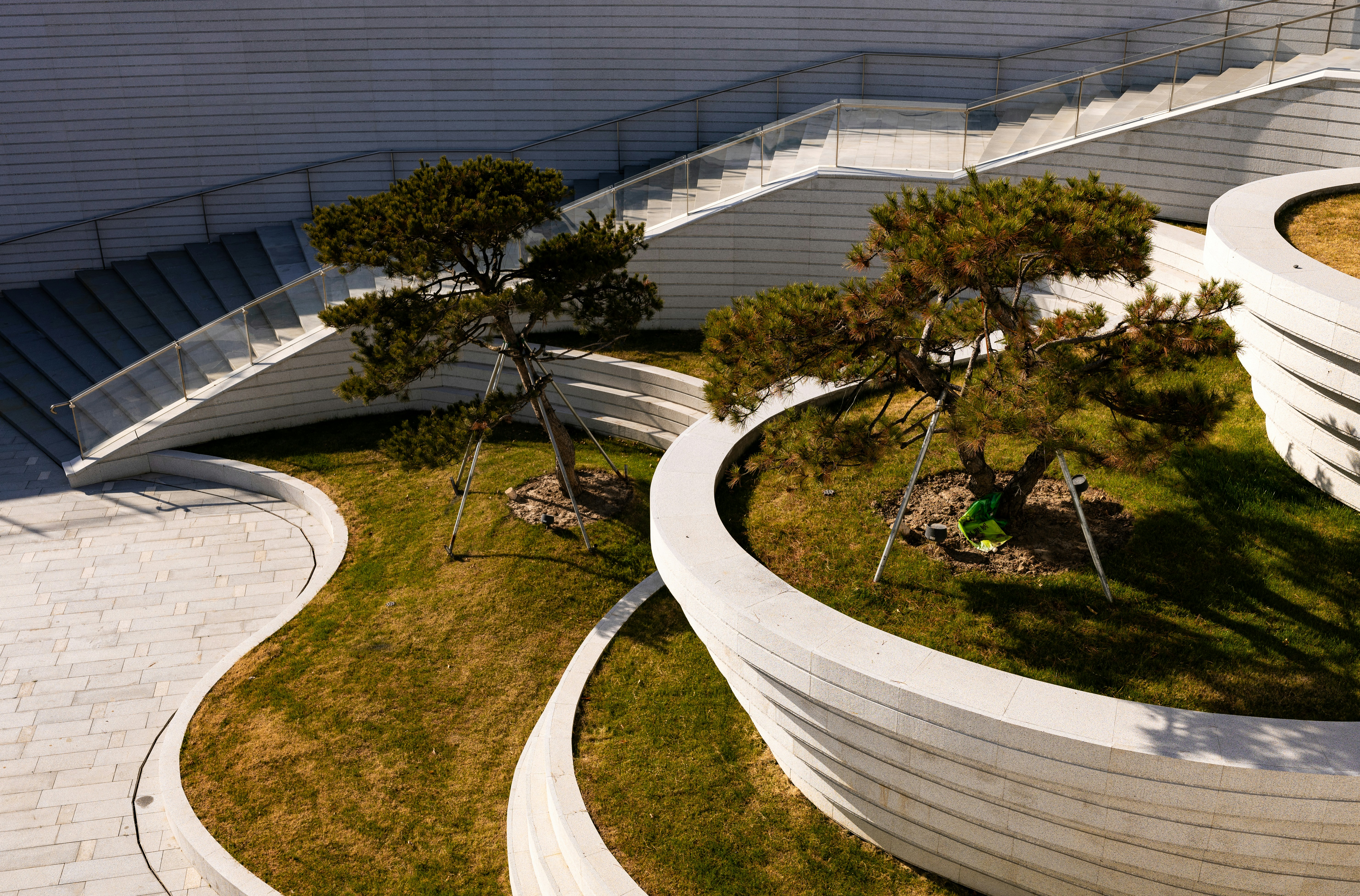 Spiral Courtyard: White Concrete Ramps Embrace a Shaded Grove