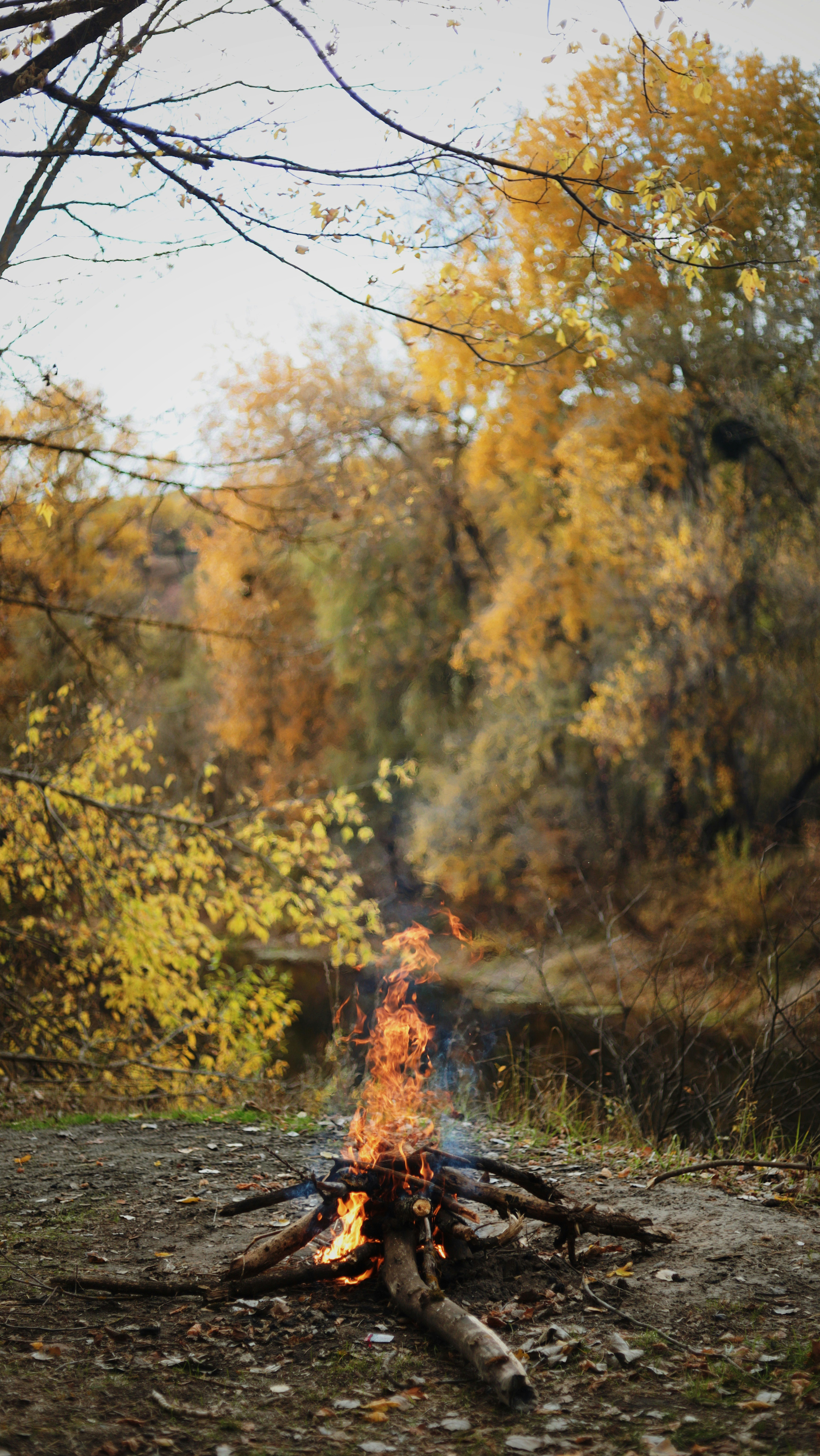 Photo by Roman Hnydin with Canon EOS RP