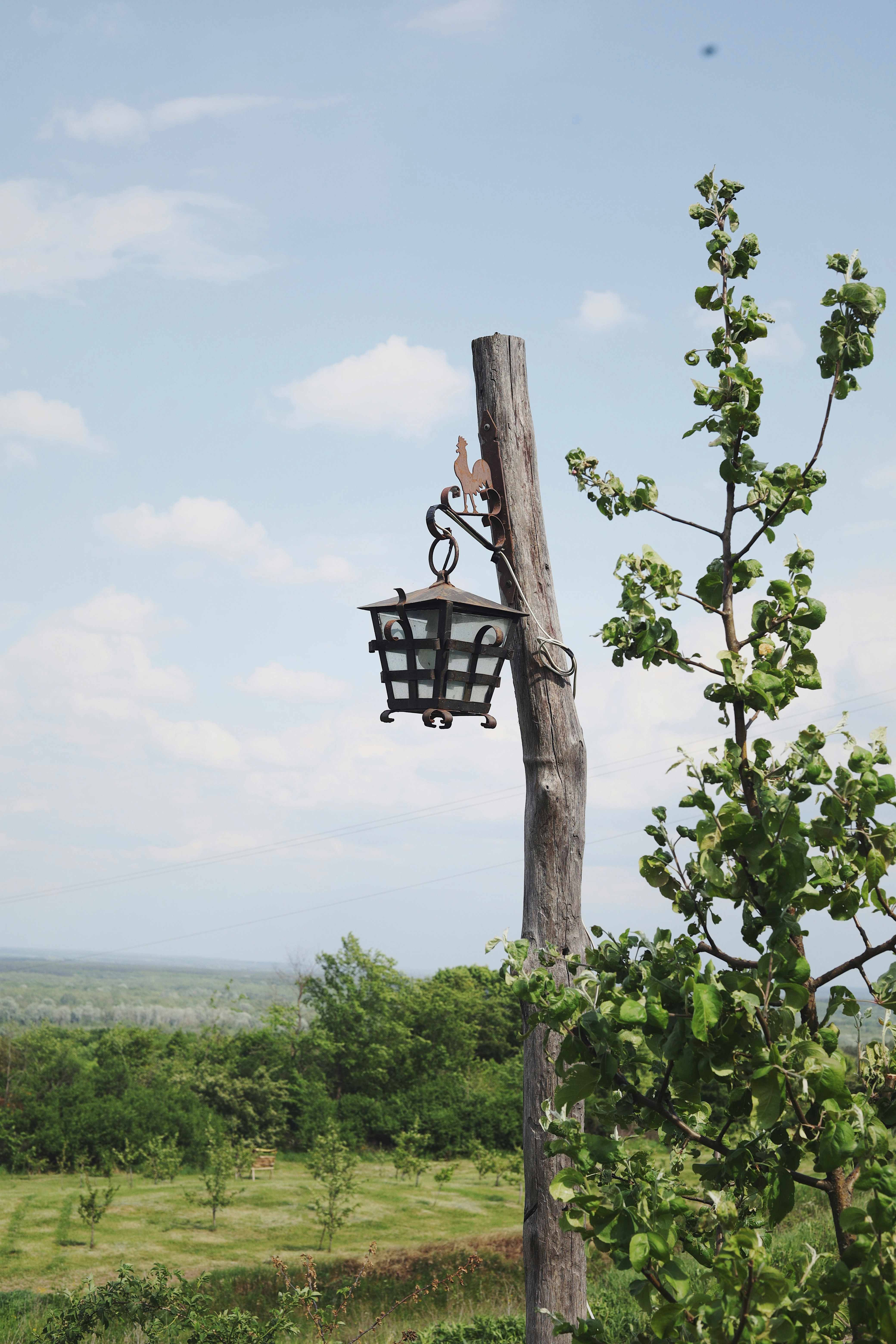 Old Lantern on a Weathered Post in a Sunlit Orchard