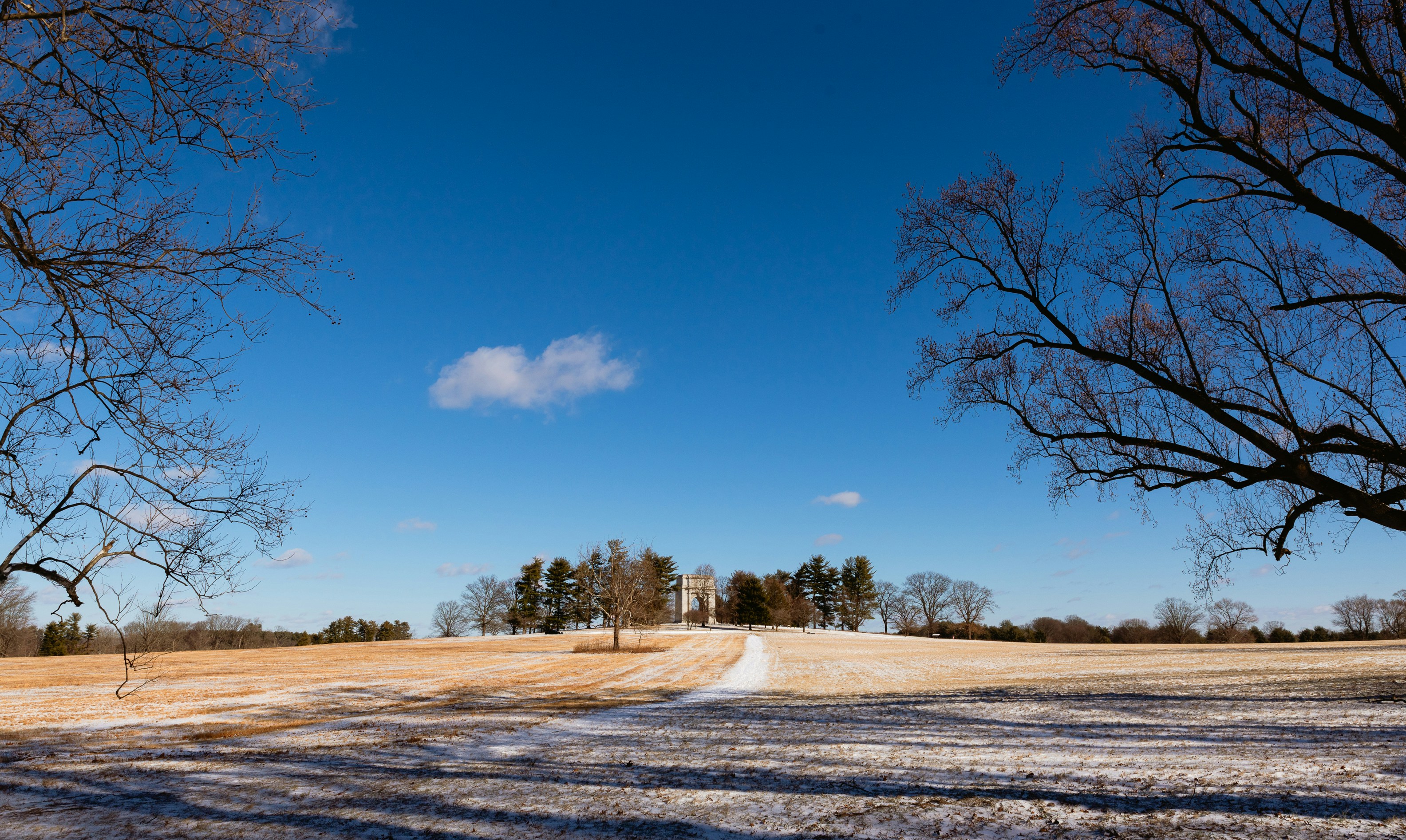 A snow covered field with trees and a blue sky photo – Free Valley ...