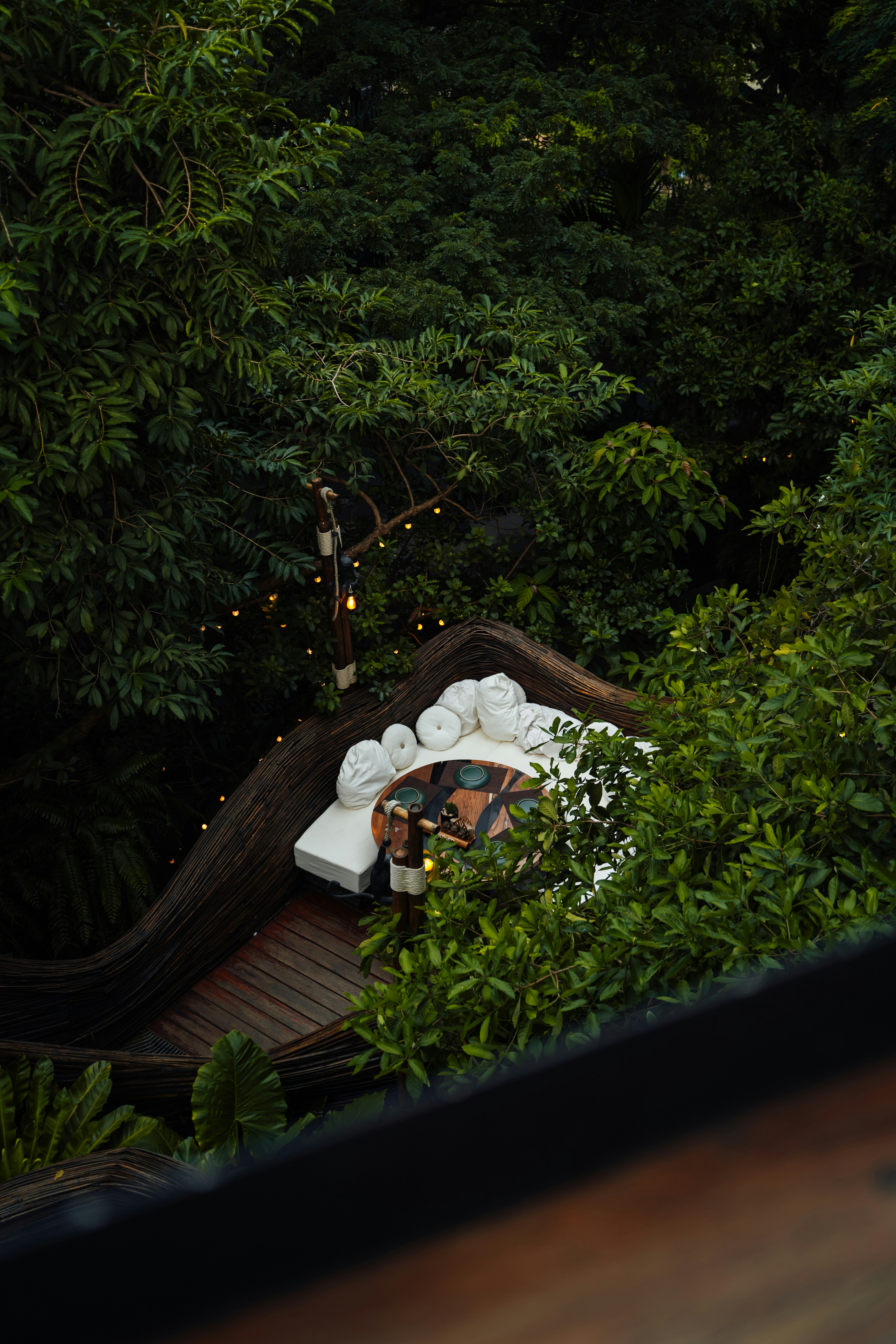 Une vue aérienne d’un lit au milieu d’une forêt photo – Image gratuite ...