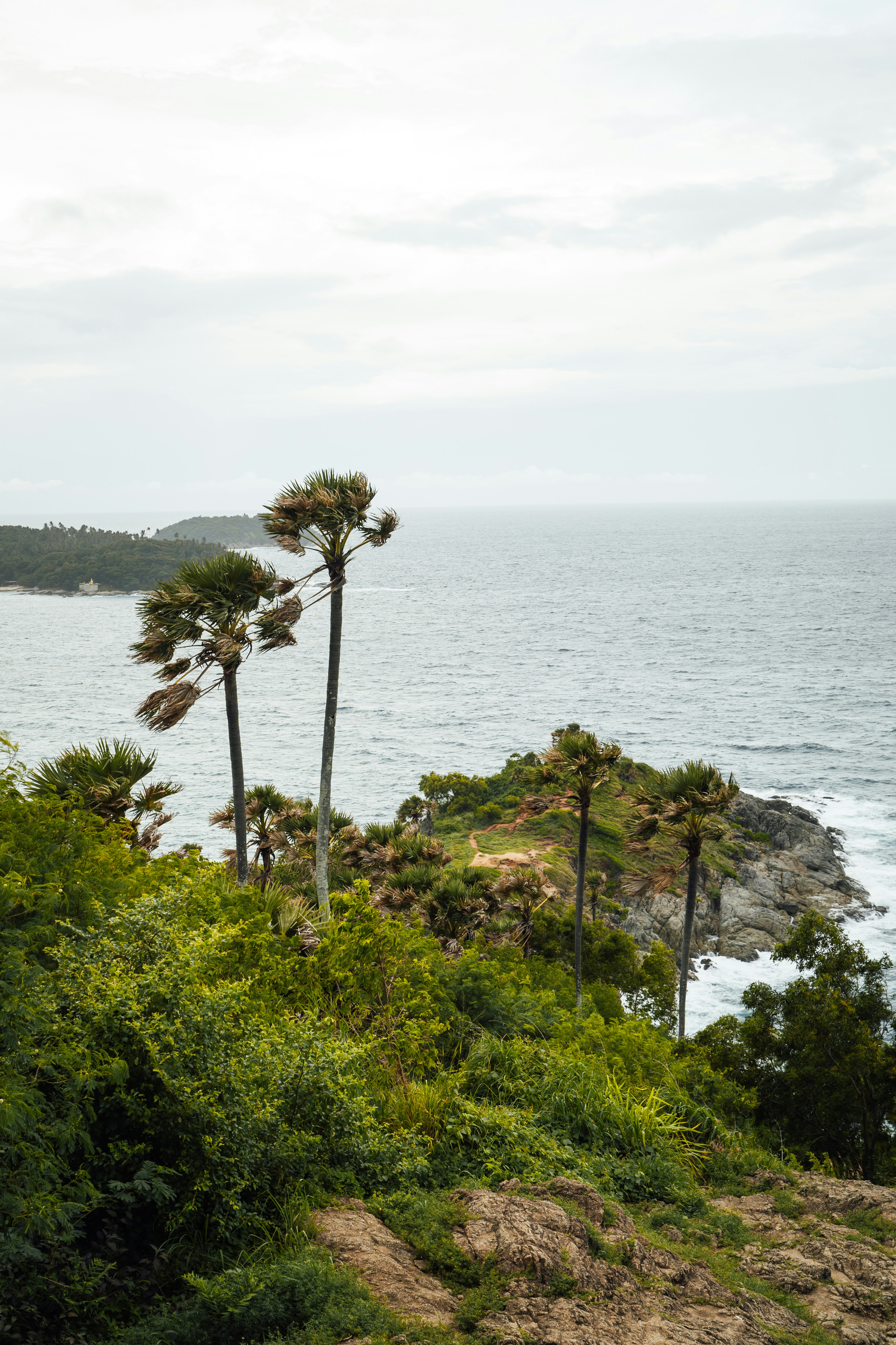 Photo by Gabor Szuhan with Sony Alpha 7 III