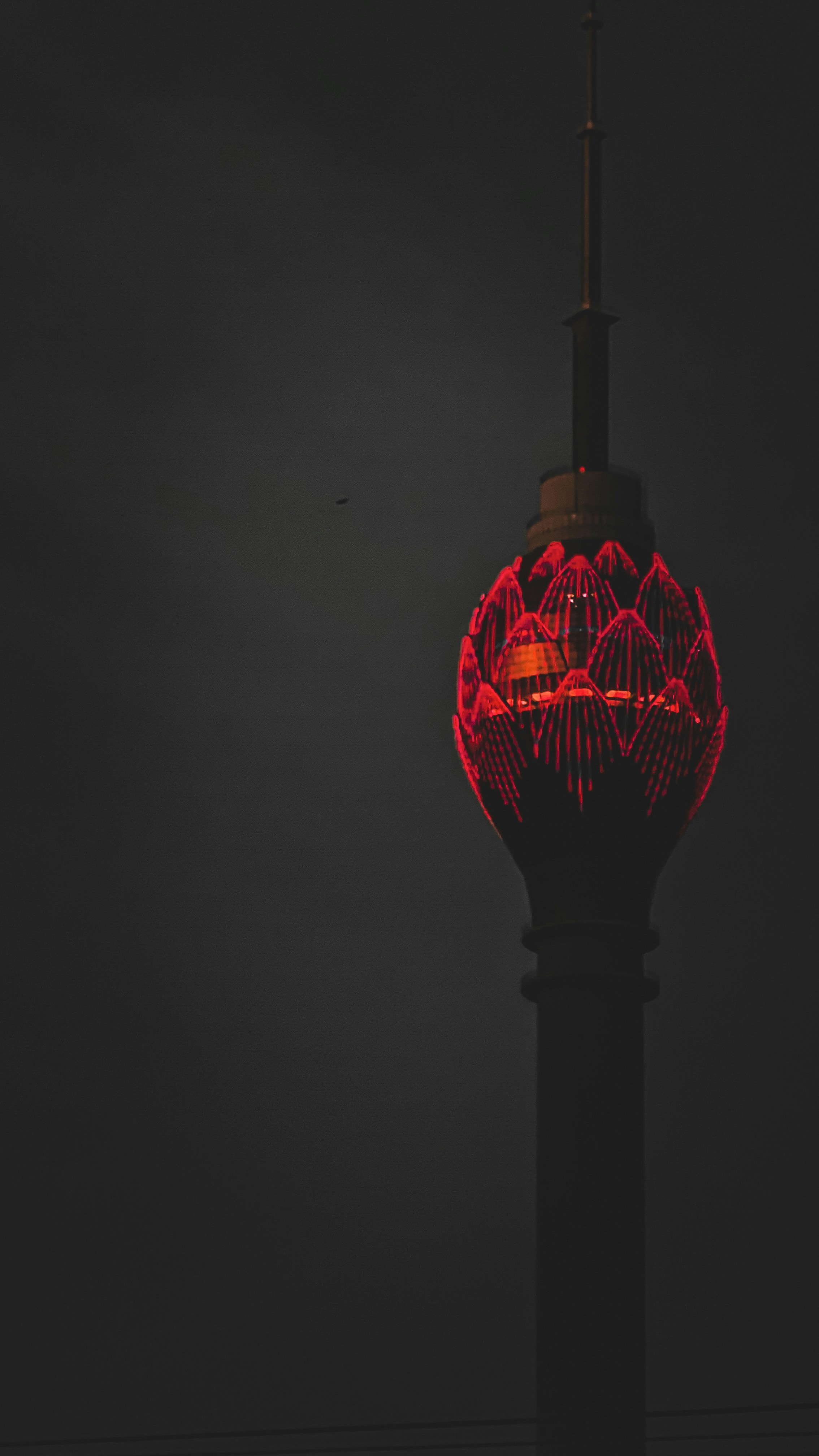 Crimson Crown on a Dark Sky Tower
