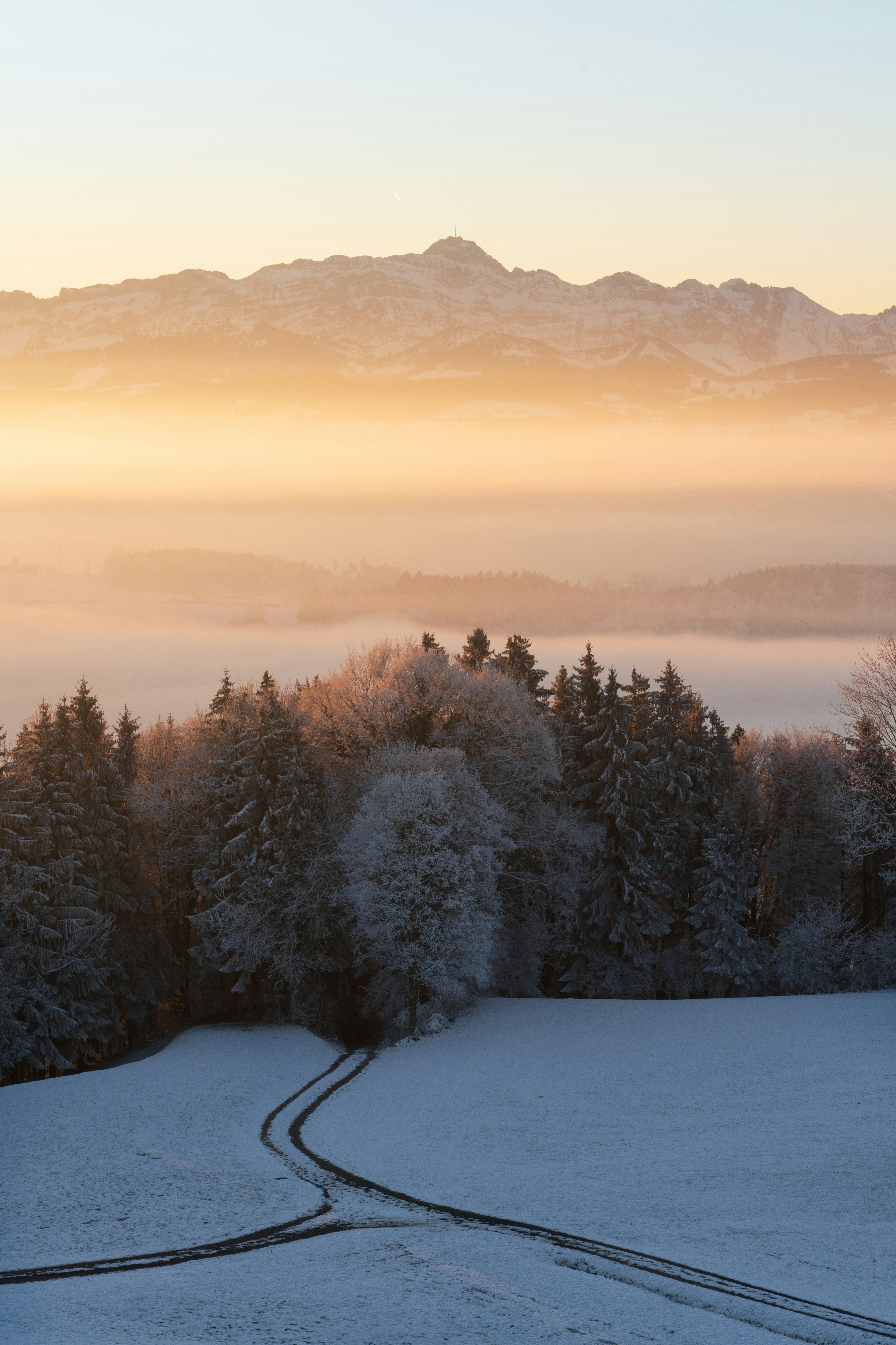 A snow covered field with trees and mountains in the background photo ...