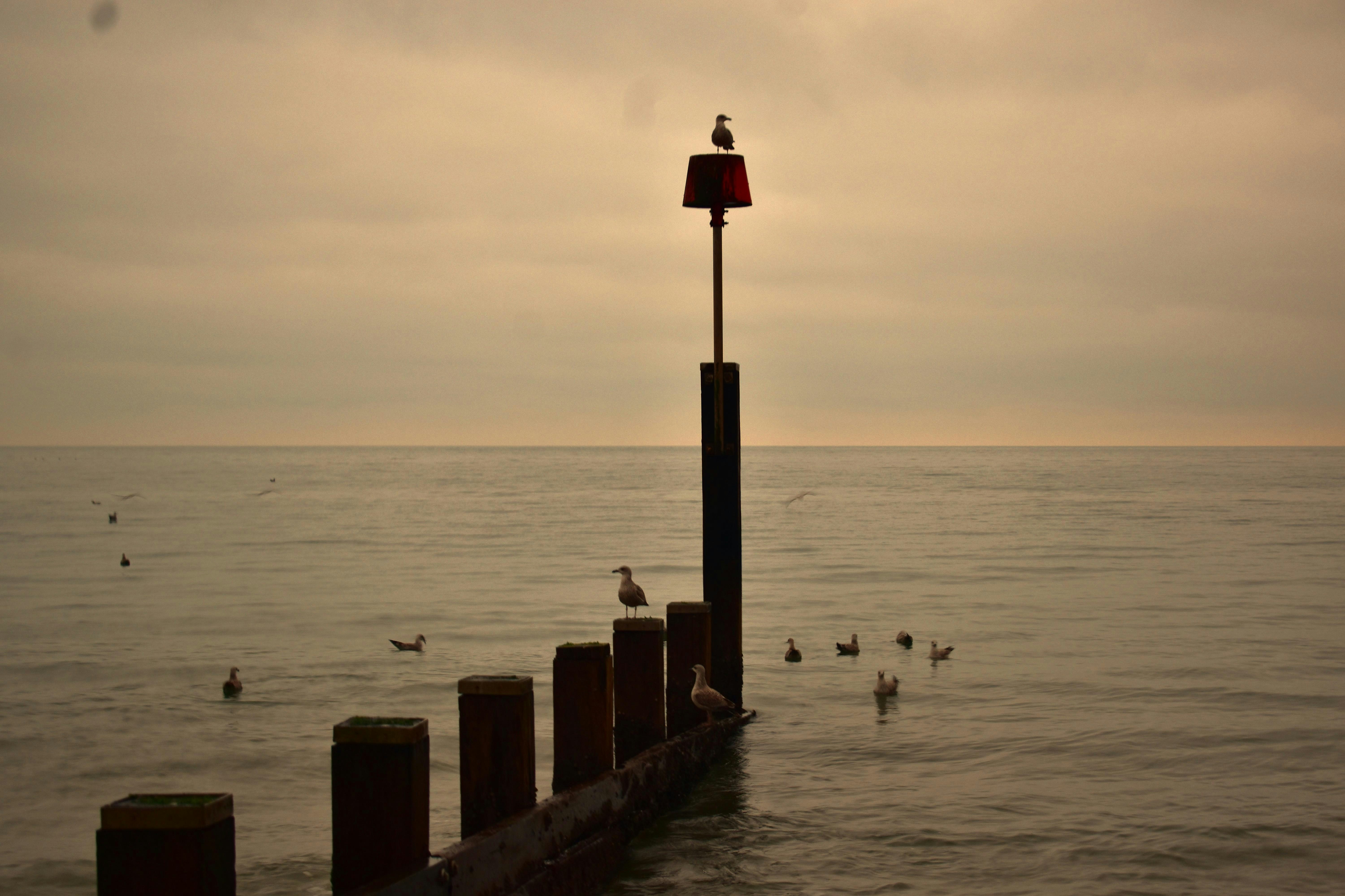 Une jetée avec une lumière au sommet au milieu de l’océan photo – Image ...