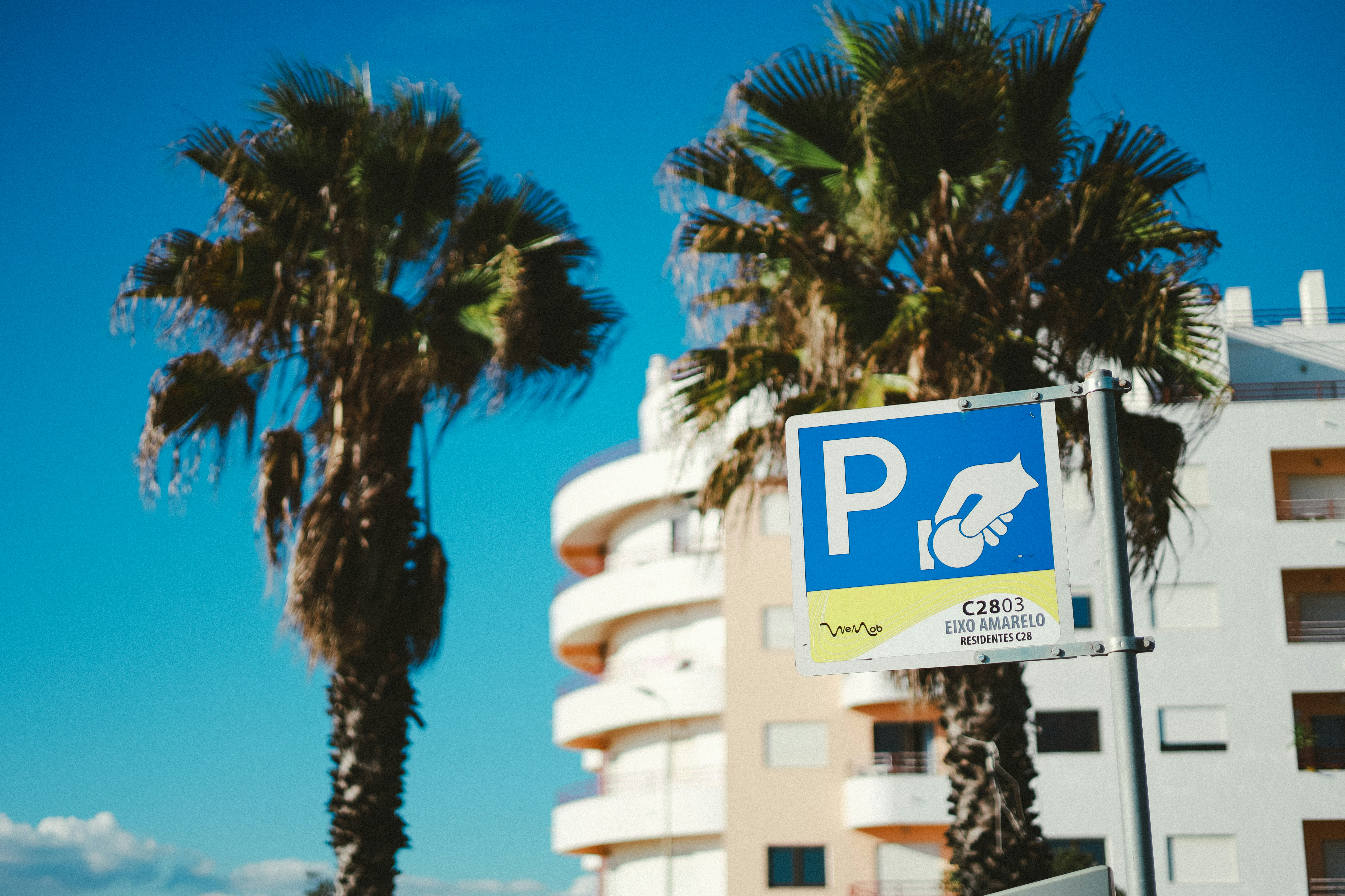 Parking sign with a hand symbol set against palm trees and a modern building backdrop.