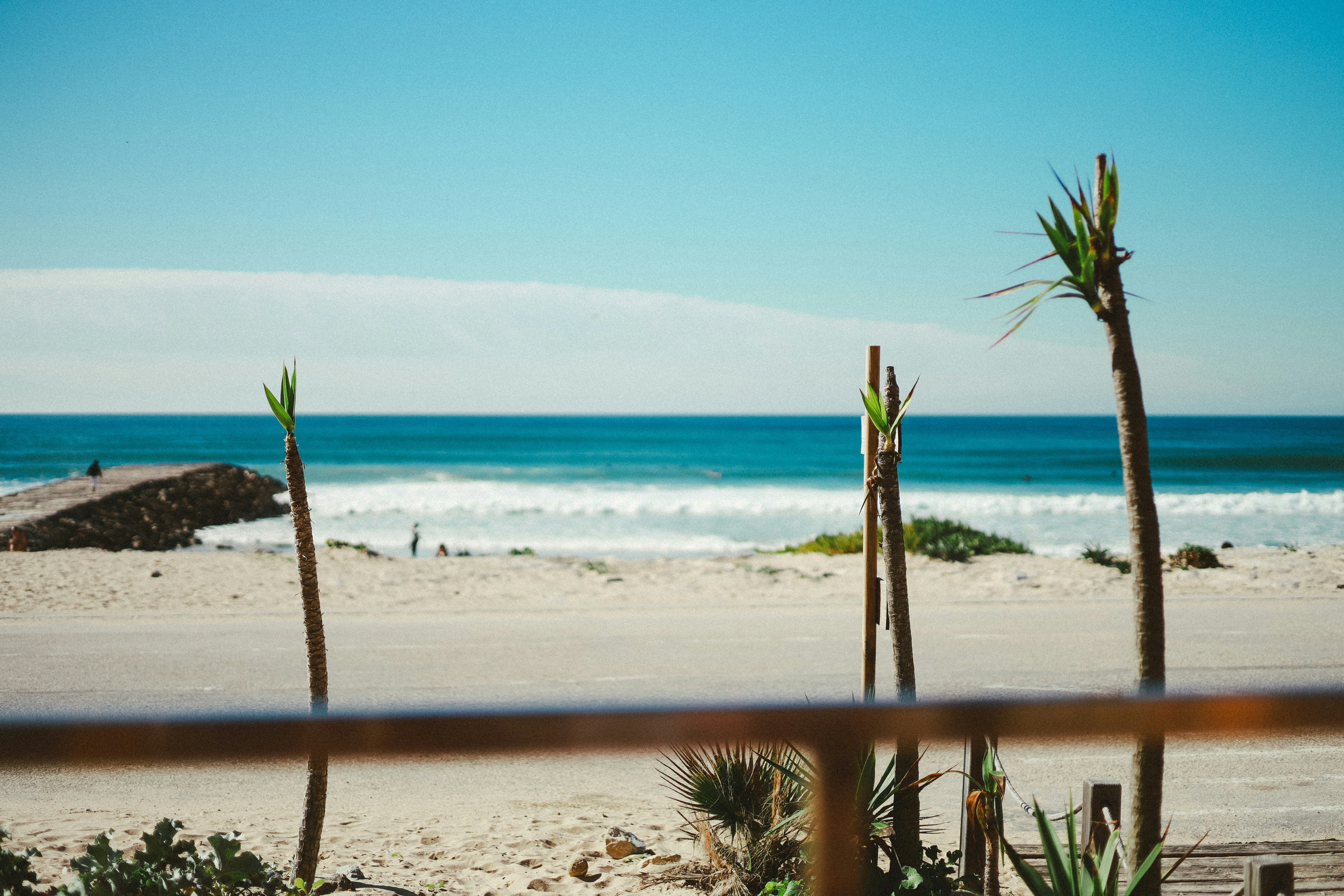 Photo by Vaz Mann with Canon EOS R