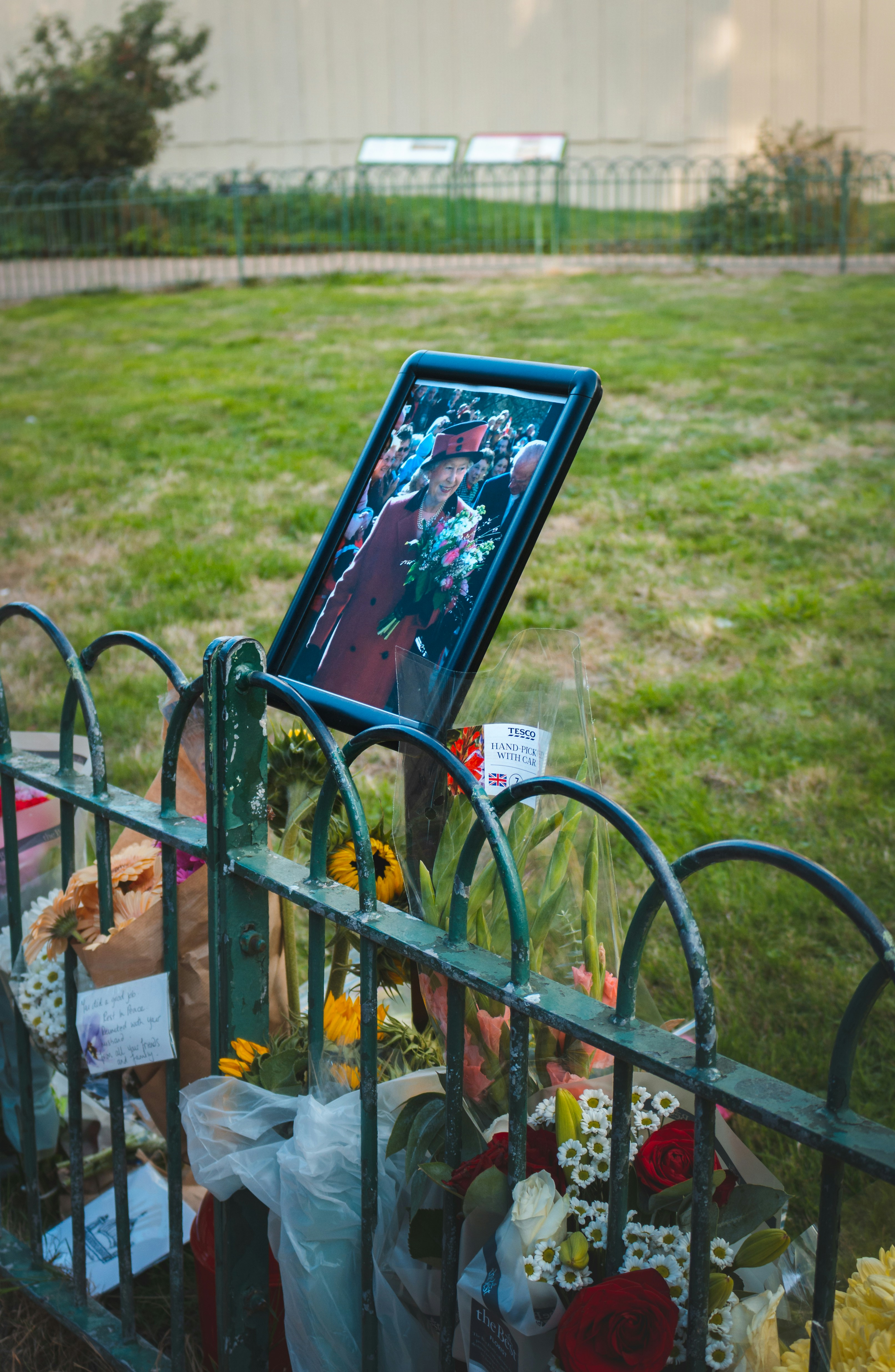 Tablet of Remembrance: A Floral Vigil Framed by Green Wrought Iron