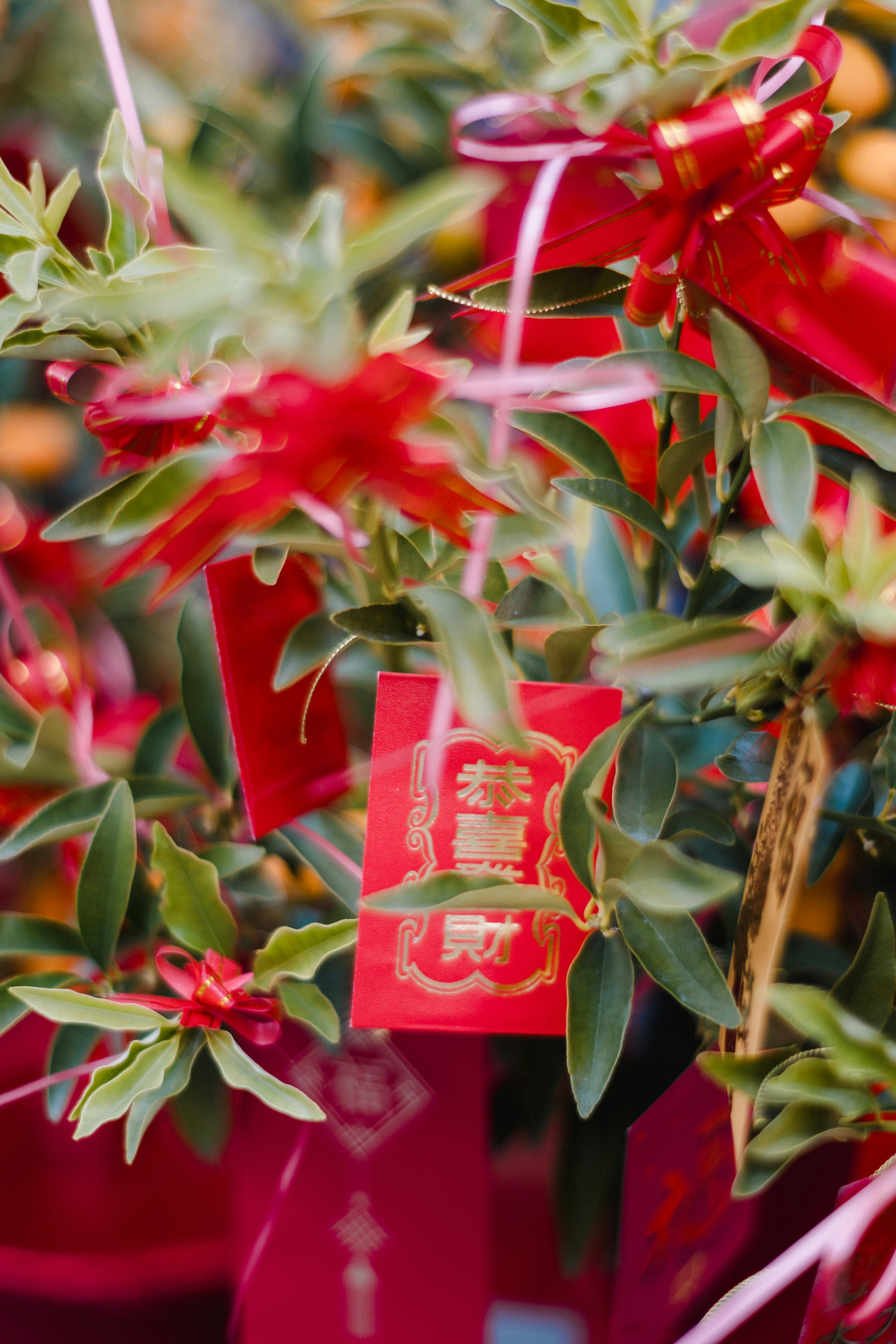 Letters of Fortune: Red Envelopes Nestled in Festive Foliage