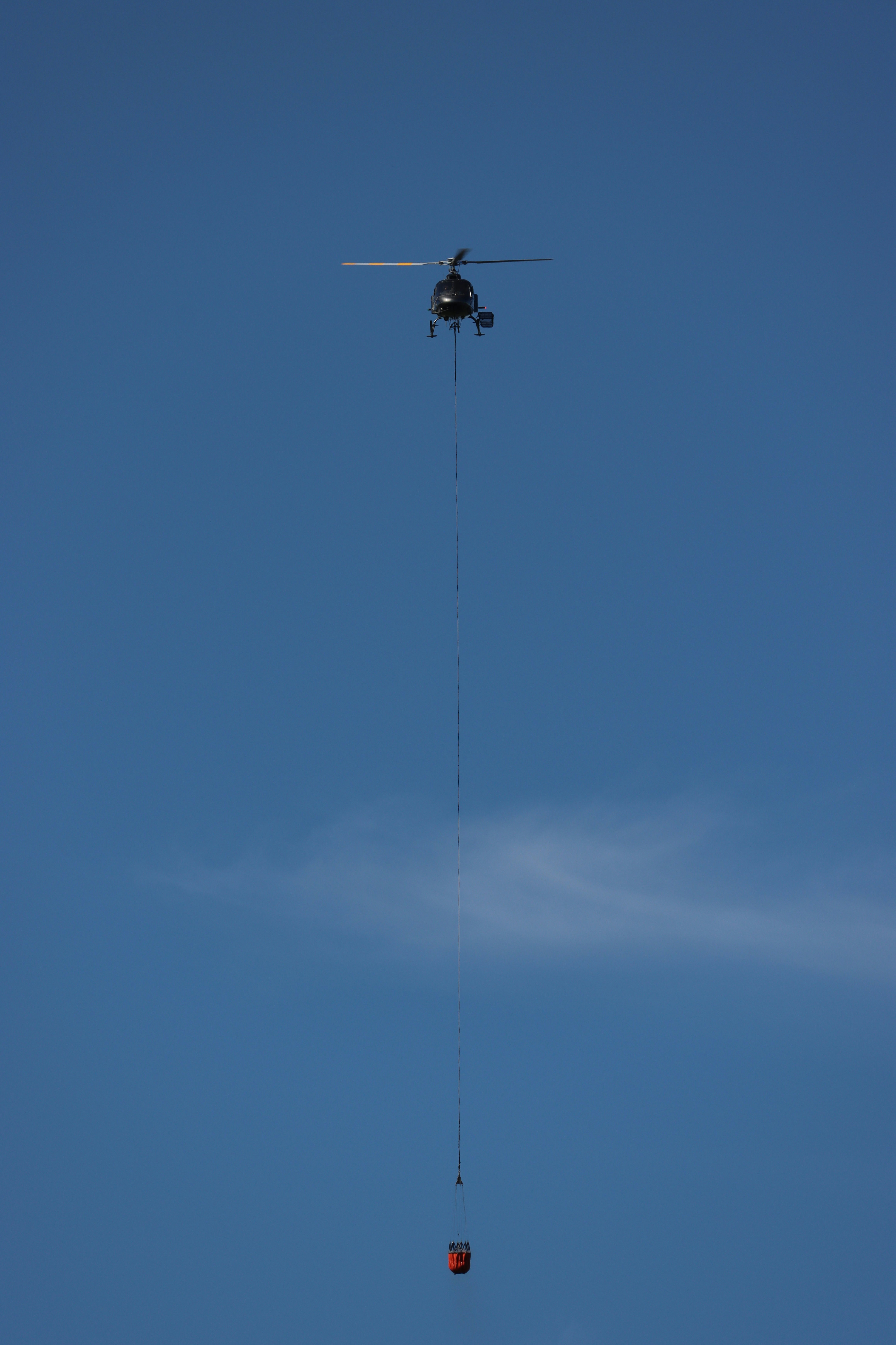 Izzy E (@izzyatthelookout) | Unsplash 사진 커뮤니티