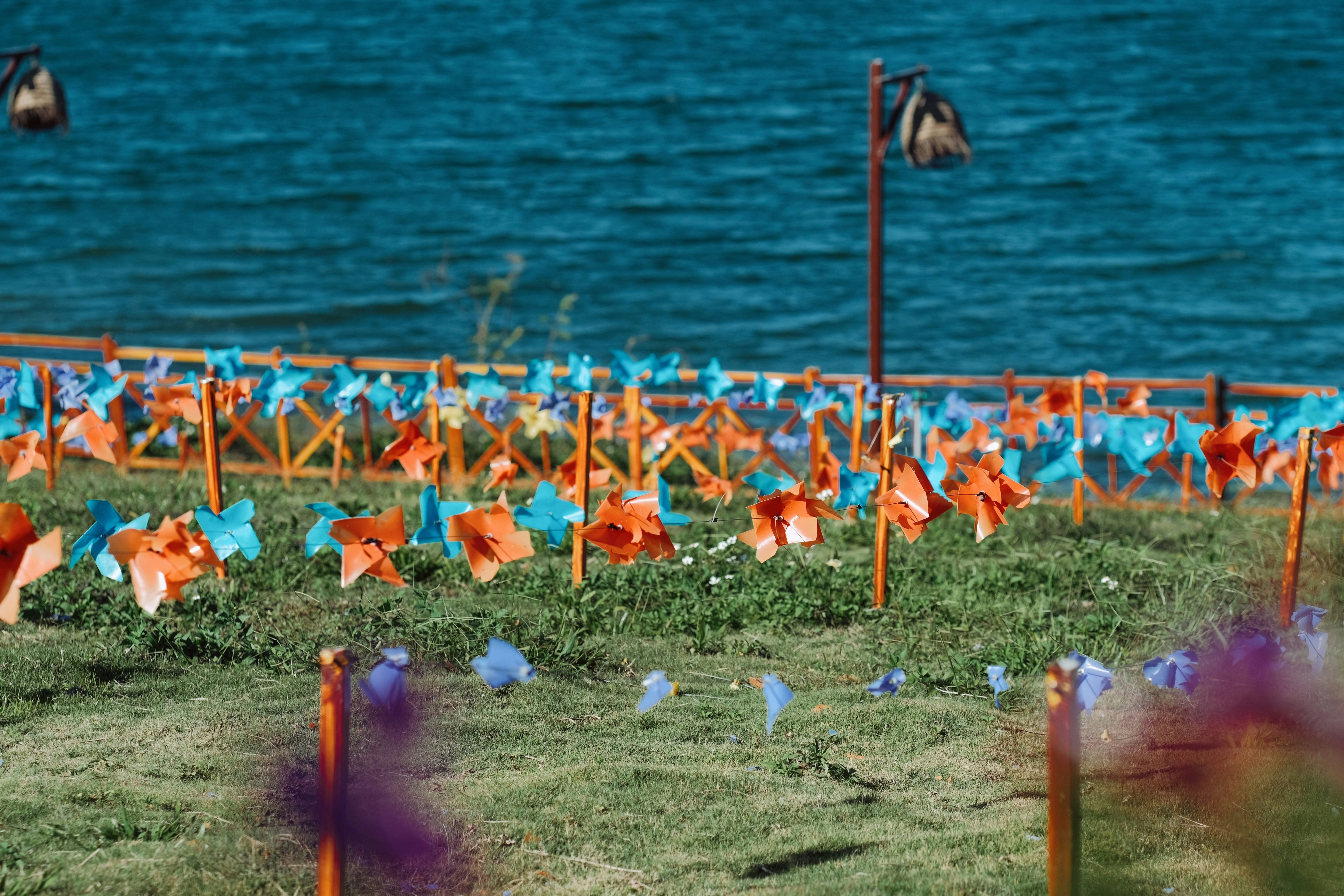 Colorful Flags in a Lakeside Field