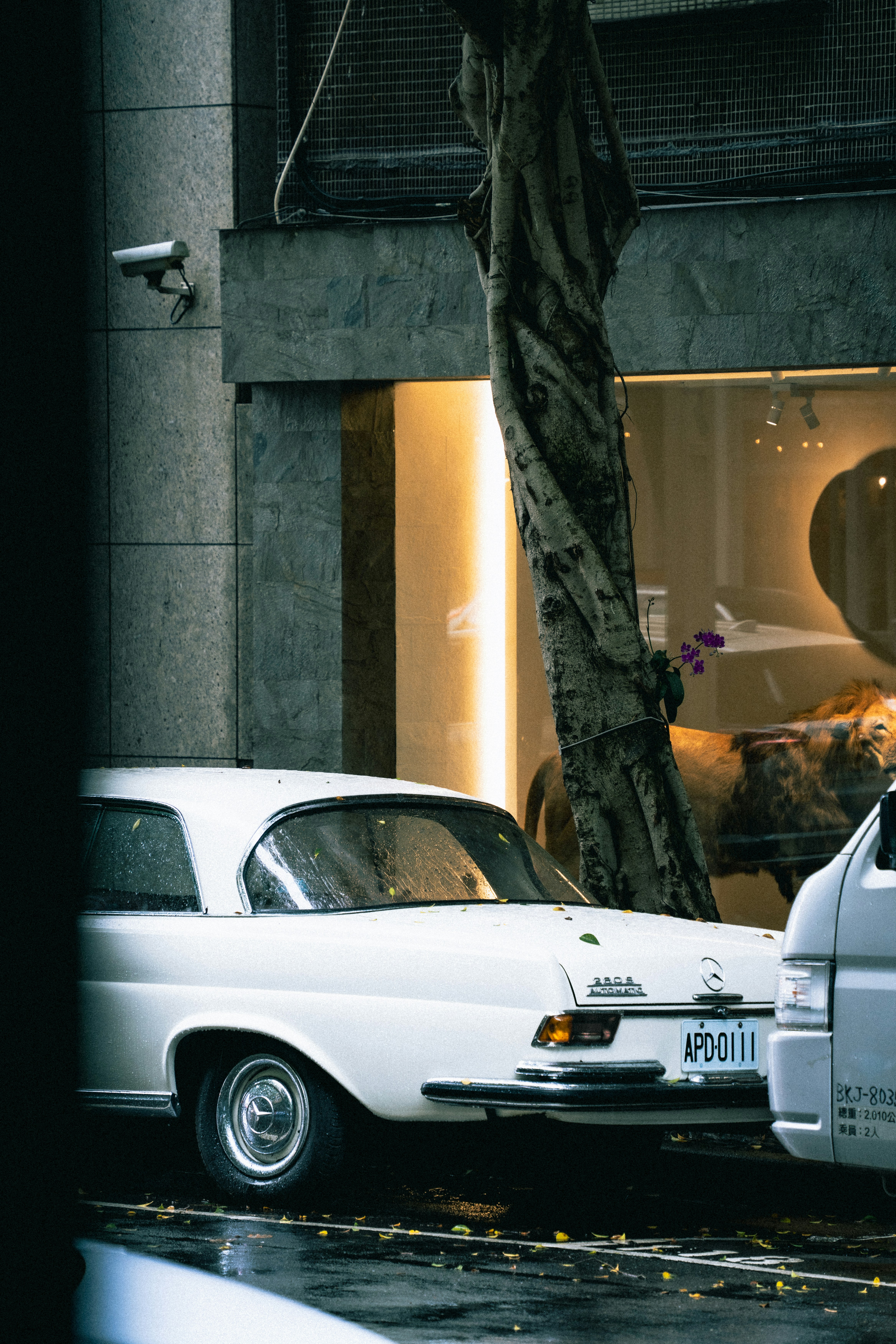 A couple of white cars parked next to each other