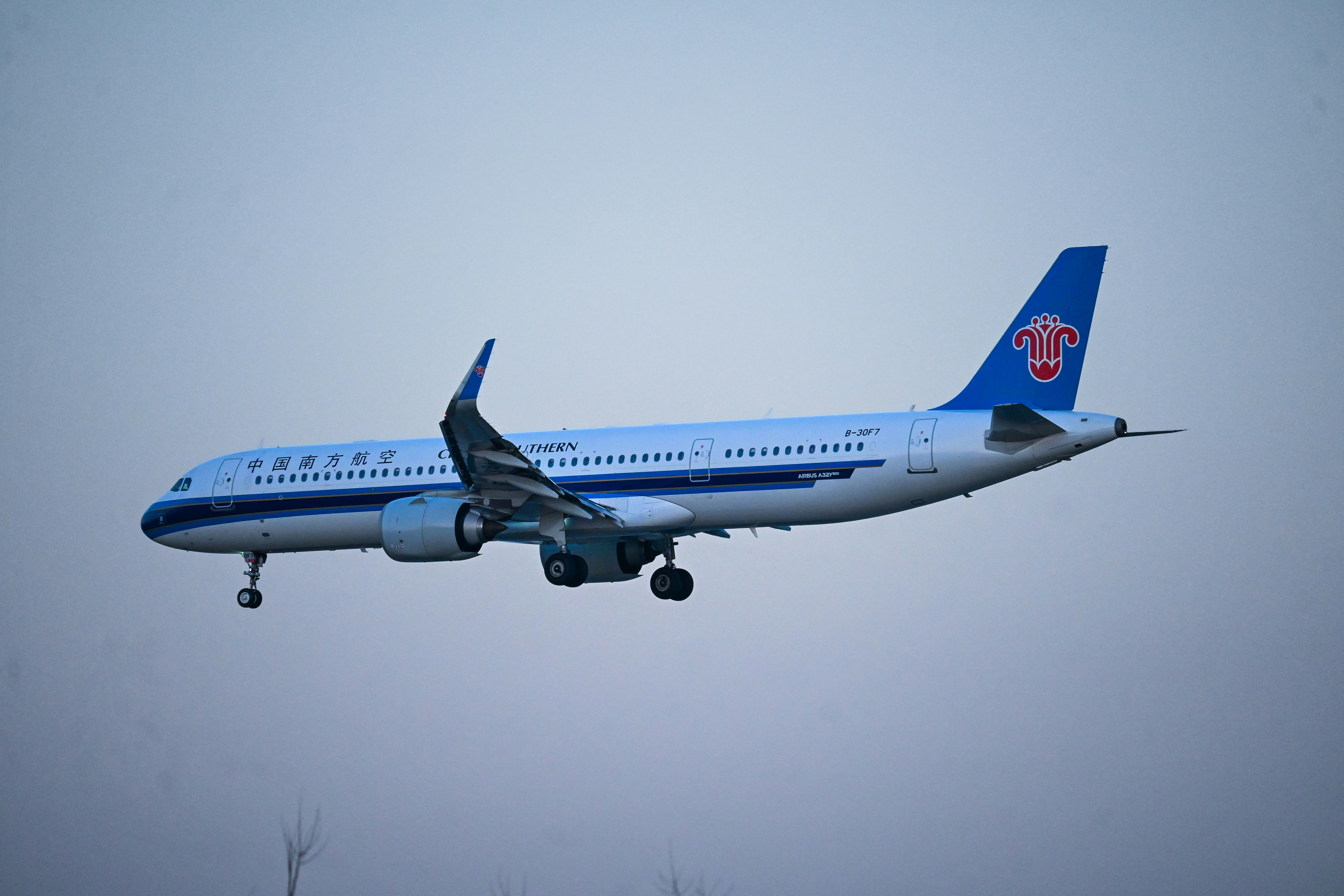 Cerulean Descent: A Blue-Tailed Jet Quietly Approaches in Pale Sky