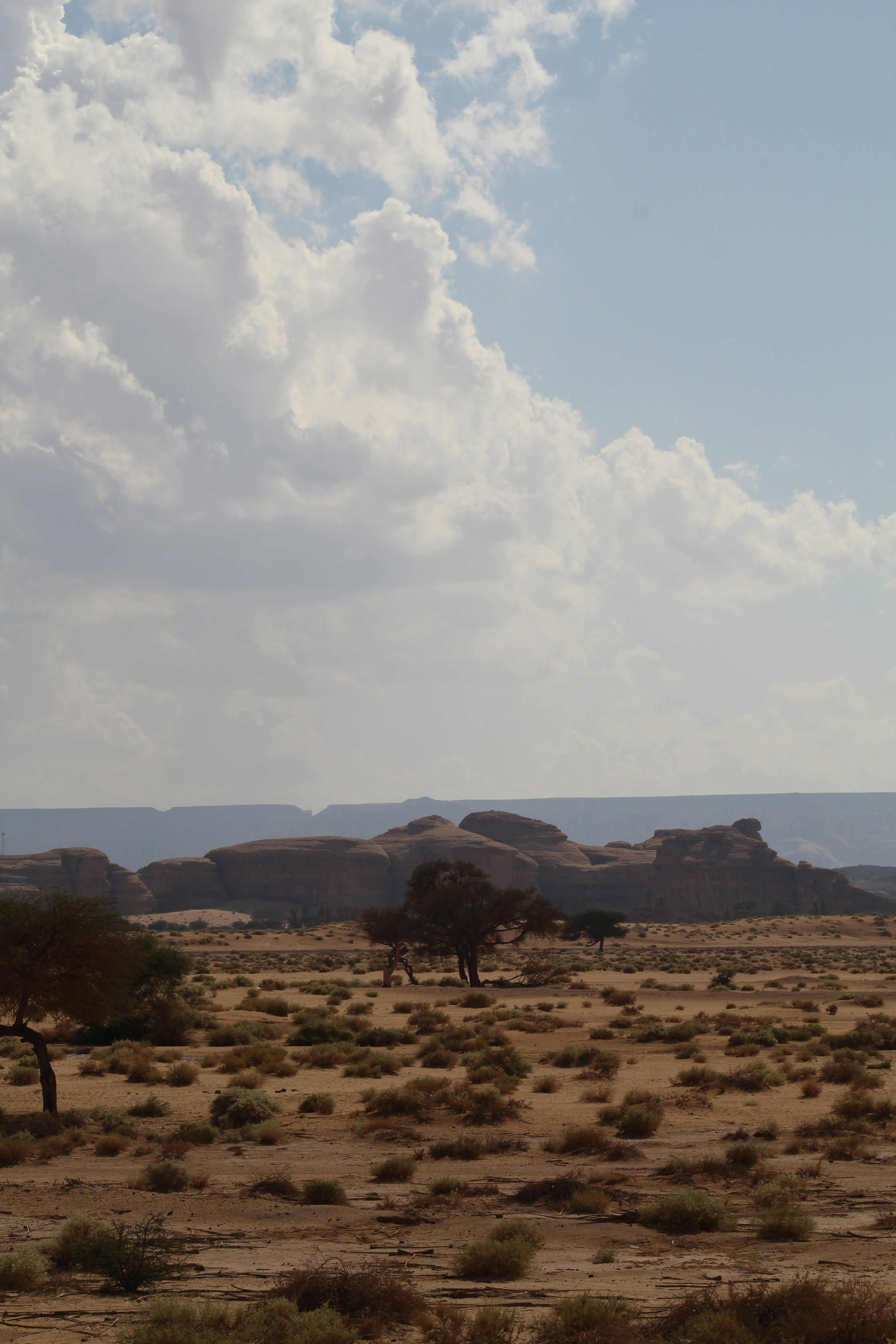 Vast desert landscape with scattered shrubs and distant rock formations under a sky filled with clouds. The scene evokes a sense of solitude and the natural beauty of arid environments.