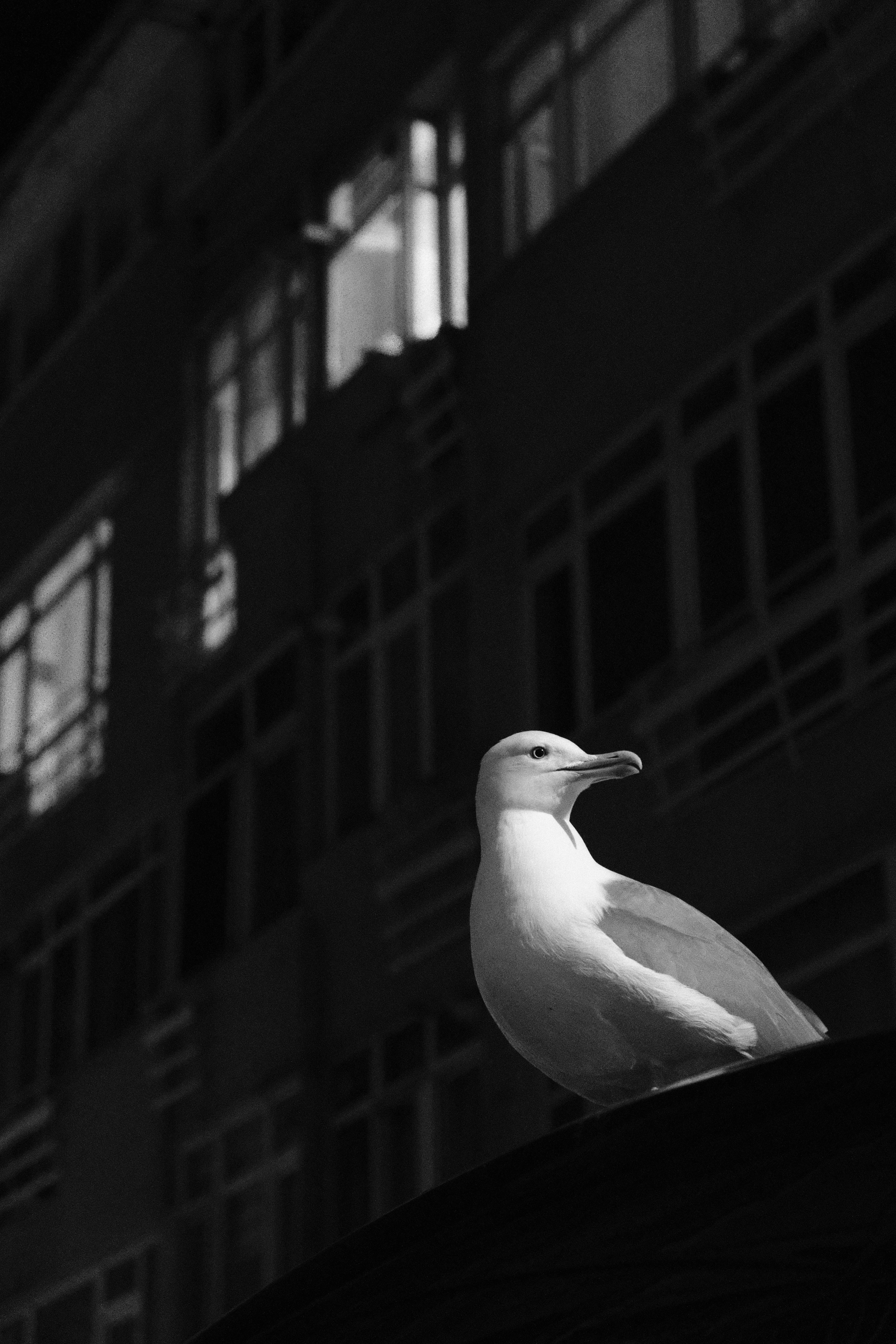 Photo by İsmail Efe Top with Fujifilm X-T5