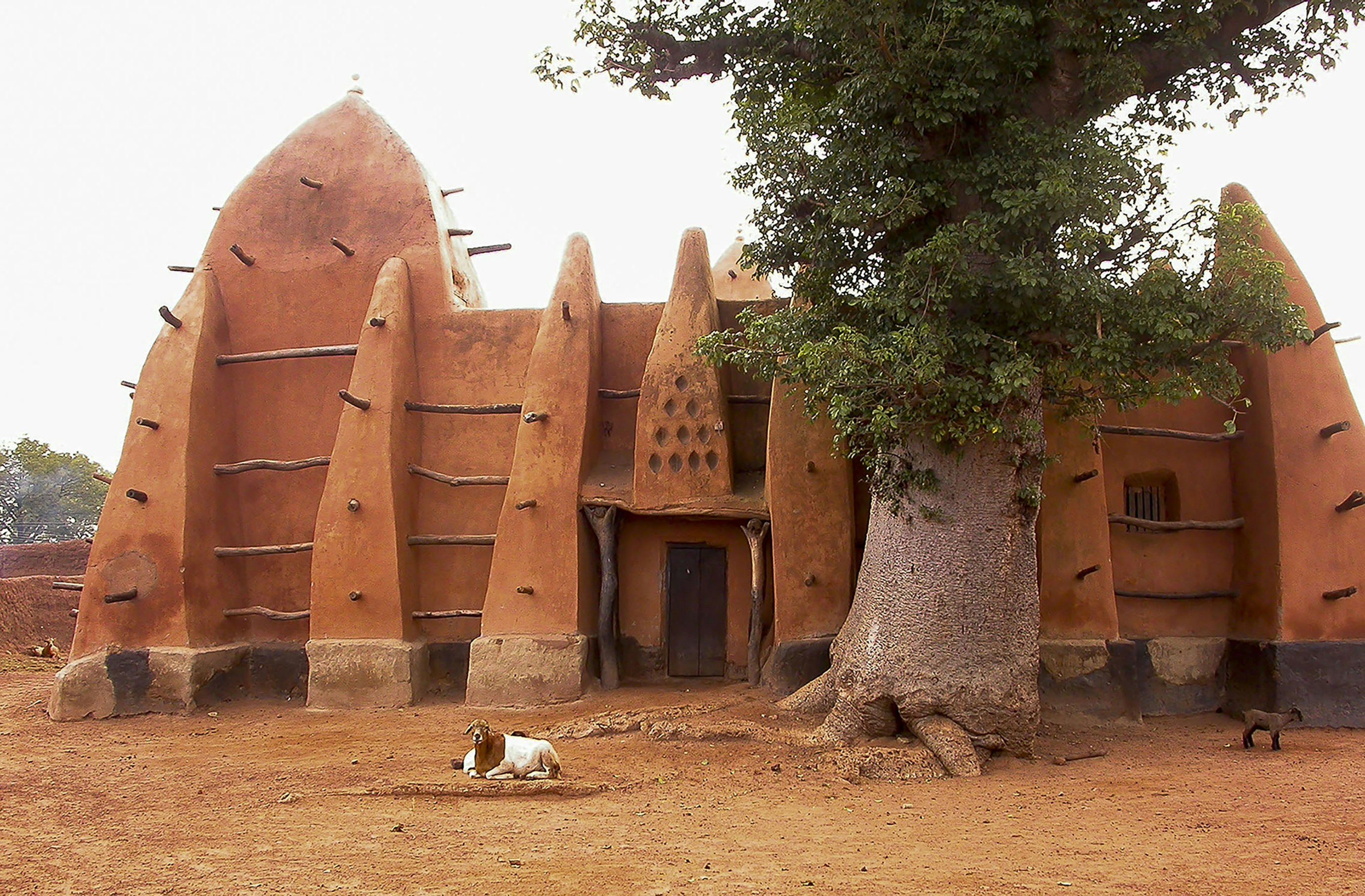 Sample photo from Nikon Coolpix 4500