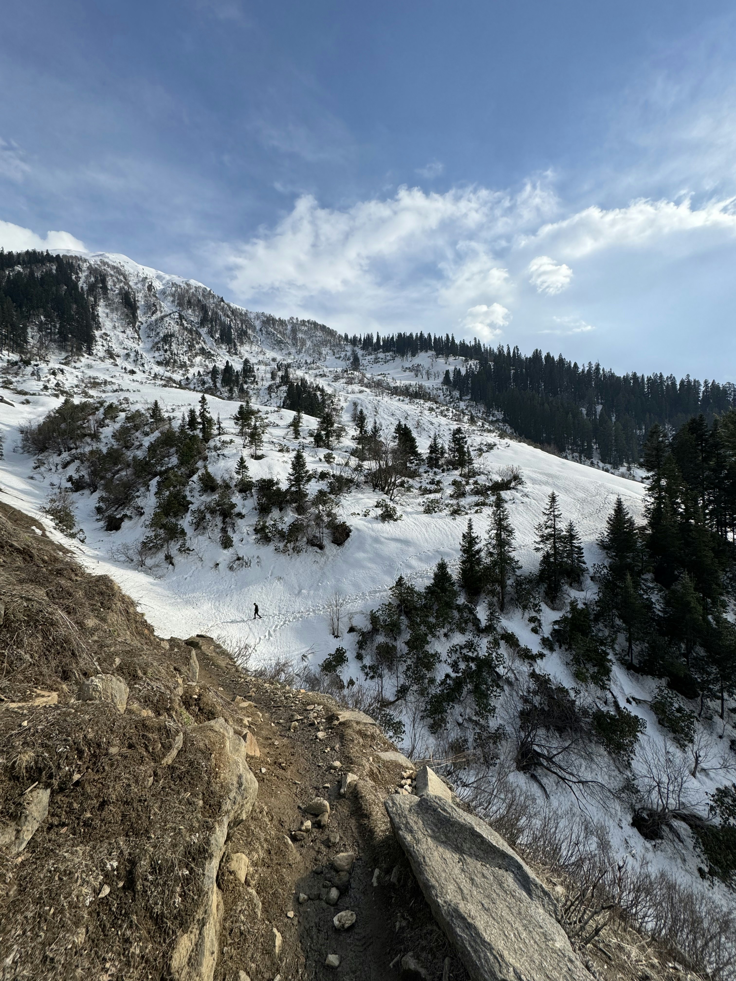 A snow covered mountain with trees on the side photo – Free Bunbuni ...