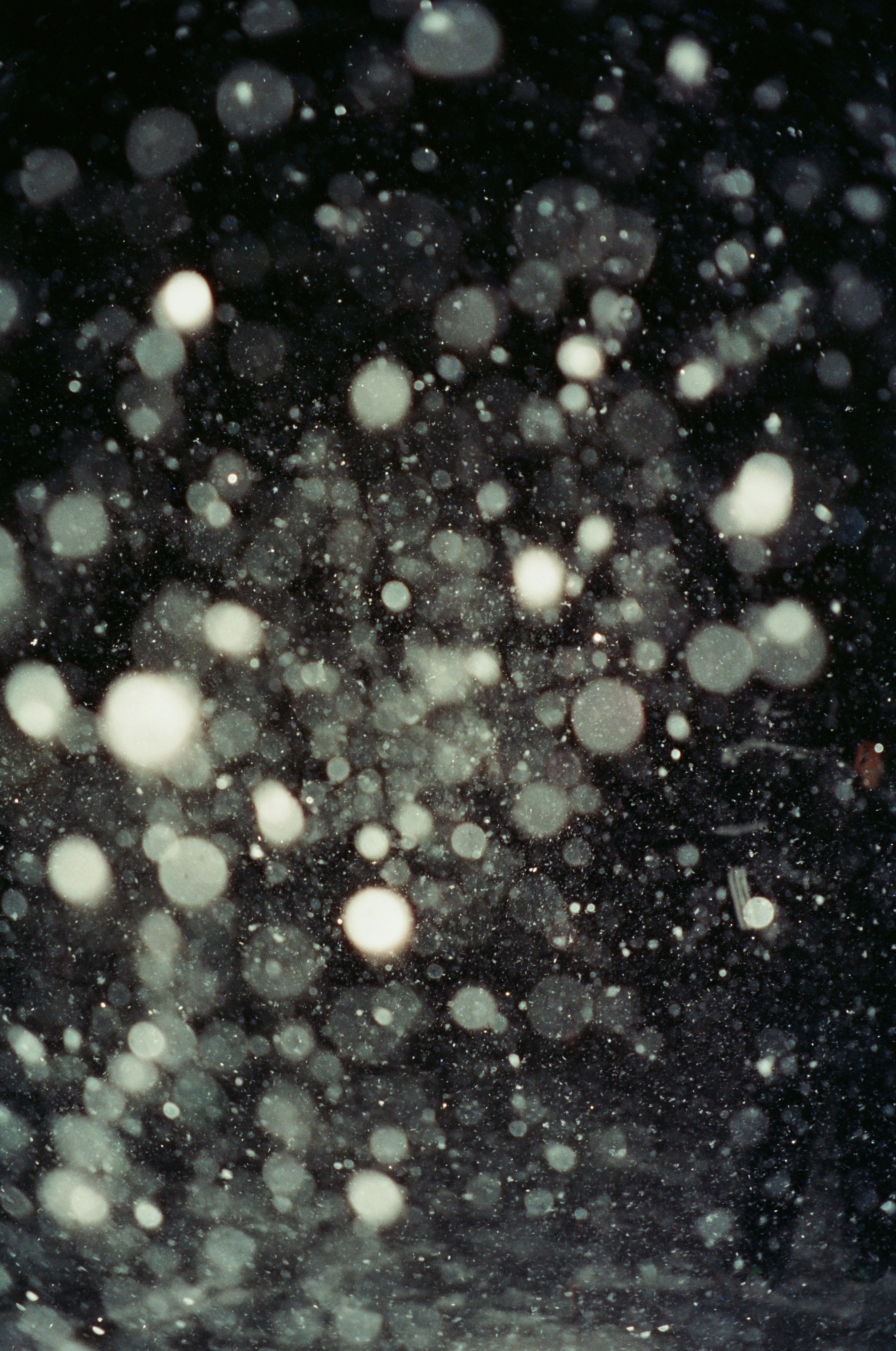 A black and white photo of snow falling photo – Free Texture Image on ...