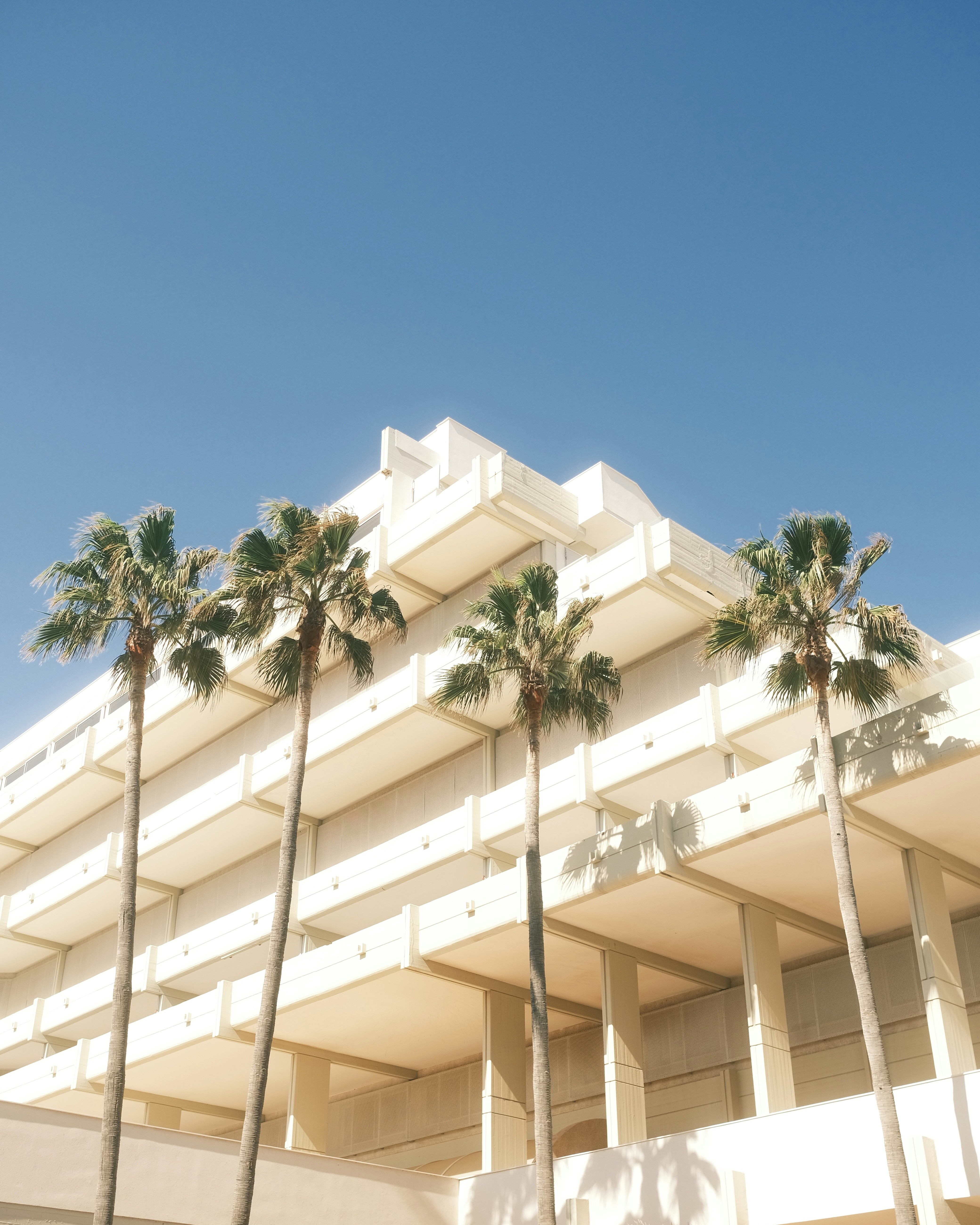 A building with palm trees in front of it photo – Free Building Image ...