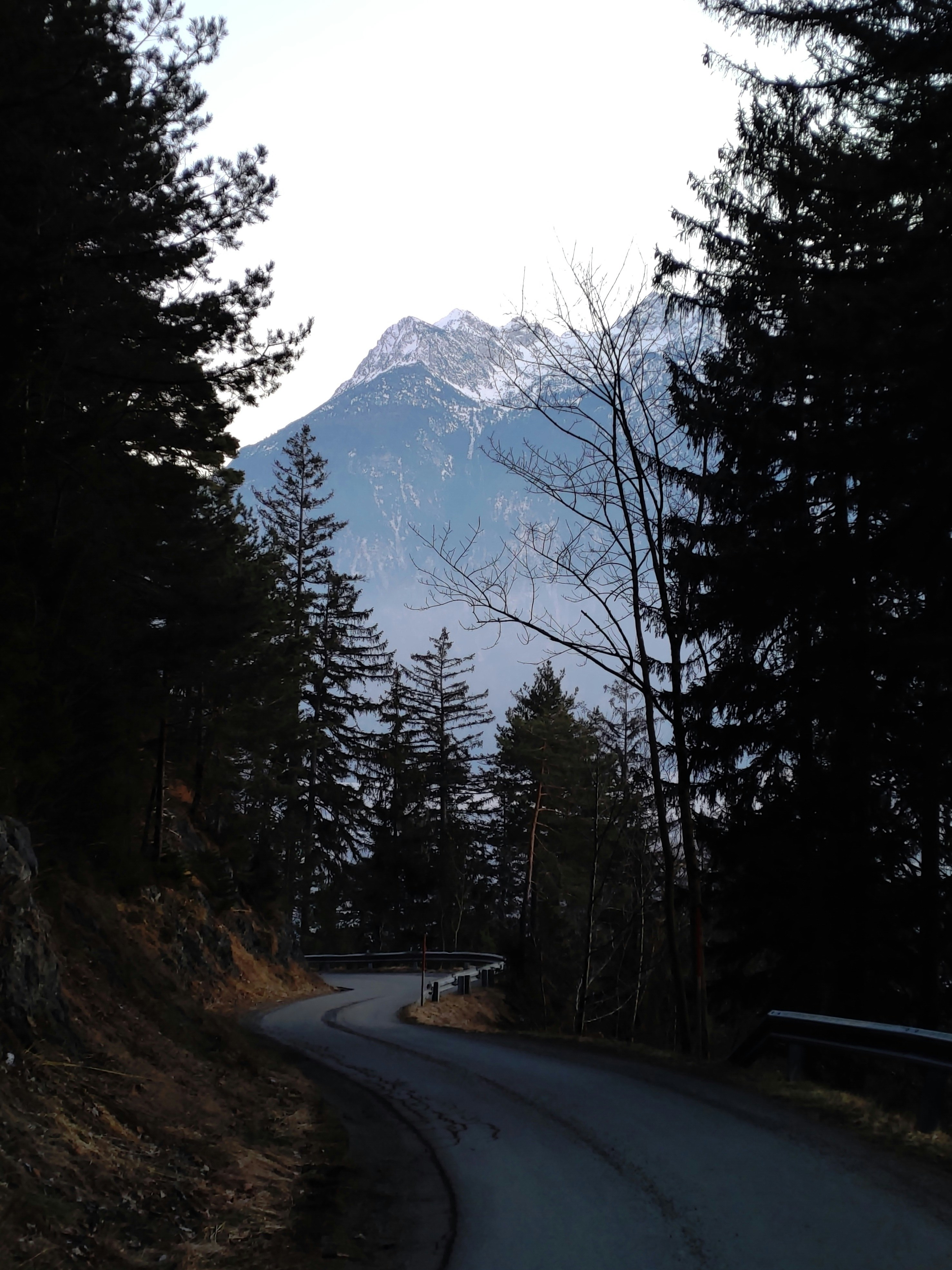 Curved road meandering through a dense forest with a snow-capped mountain looming in the distance.