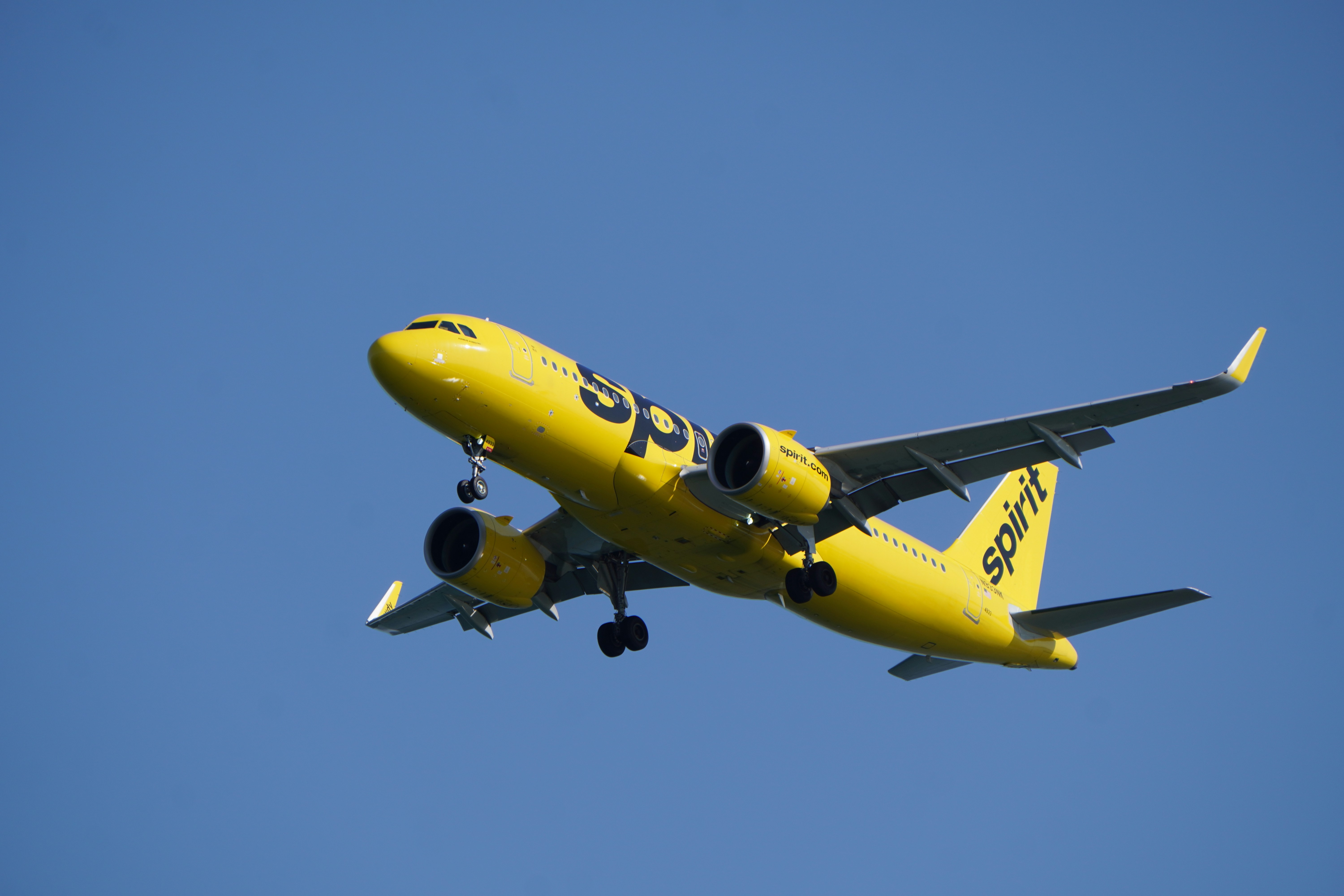 A yellow jet airliner flying through a blue sky photo – Free Boston ...