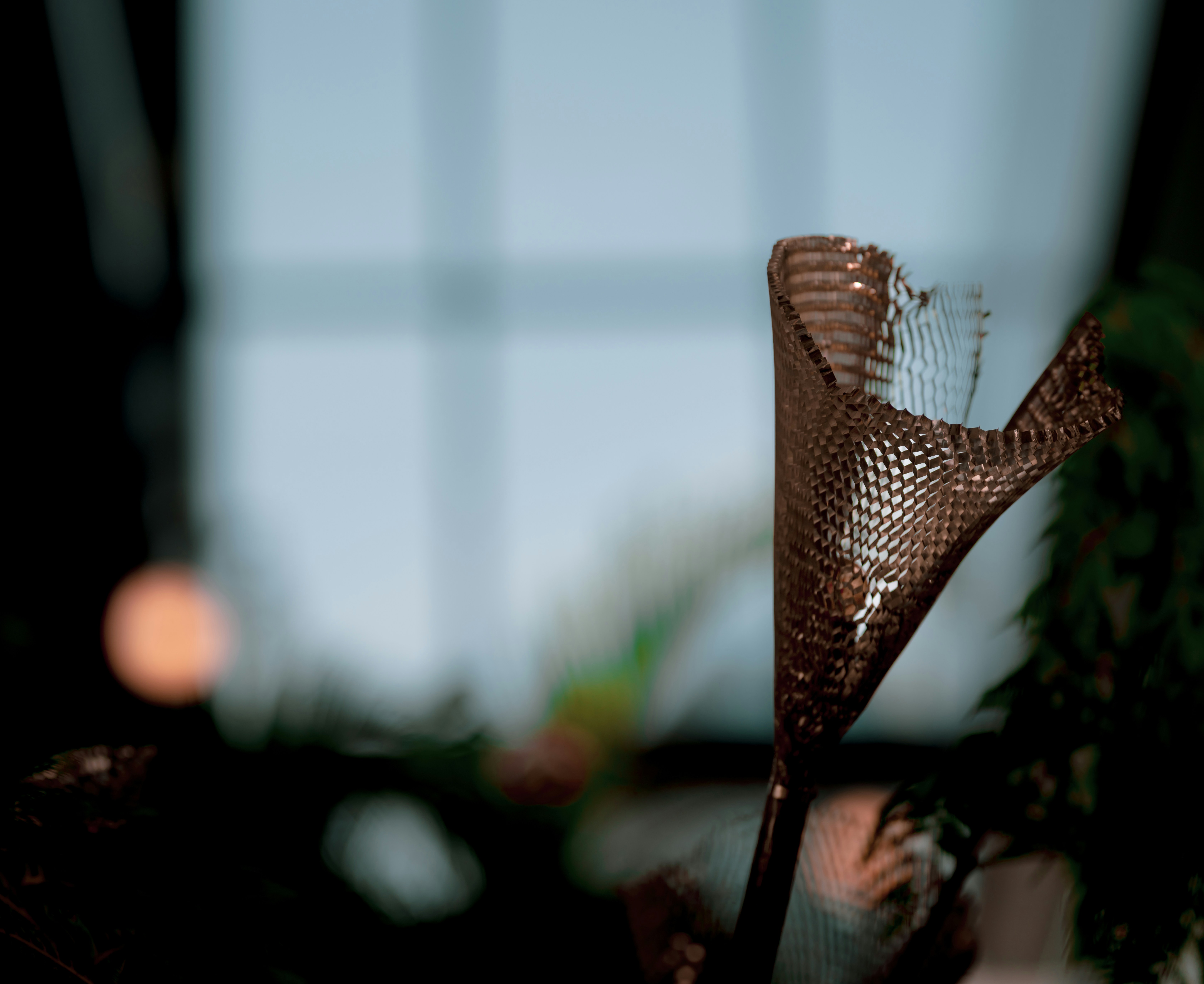 Bronze Lace: a frayed leaf unfurling against a softly lit window