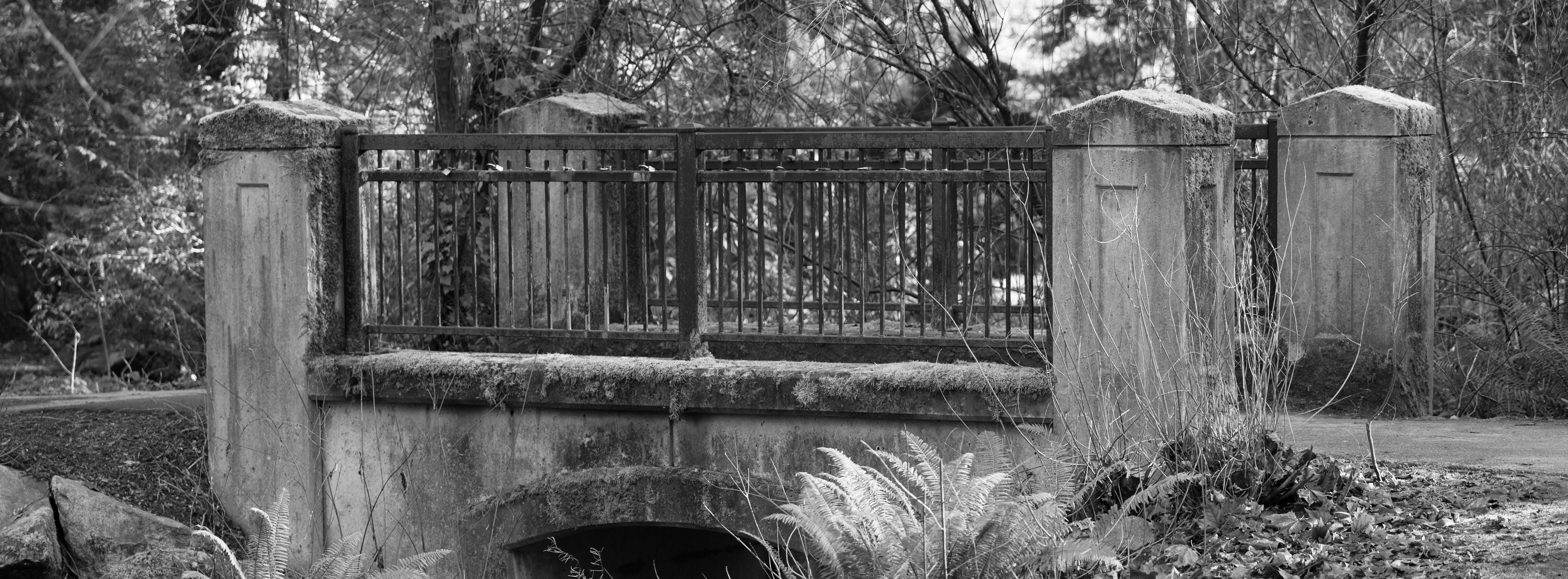 The Quiet Gate: A Stone Bridge Framed by Shadows