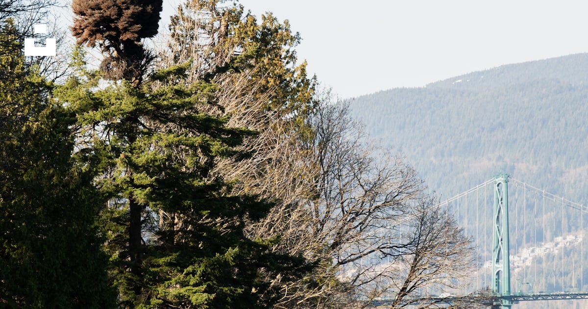 Vista De Un Puente Sobre Un Cuerpo De Agua Foto Imagen De Parque