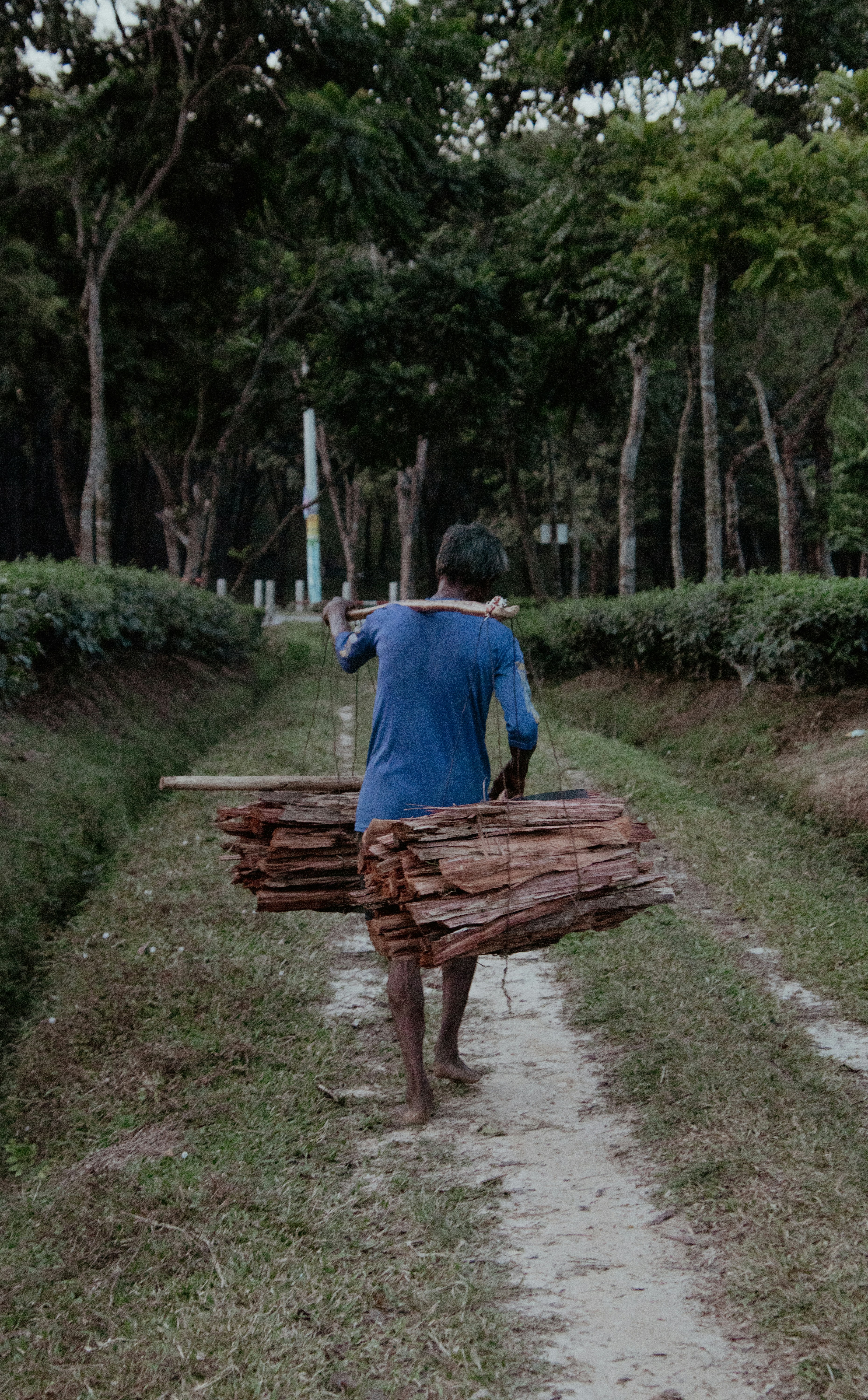 Photo by Tatiana Mokhova with Canon EOS 77D