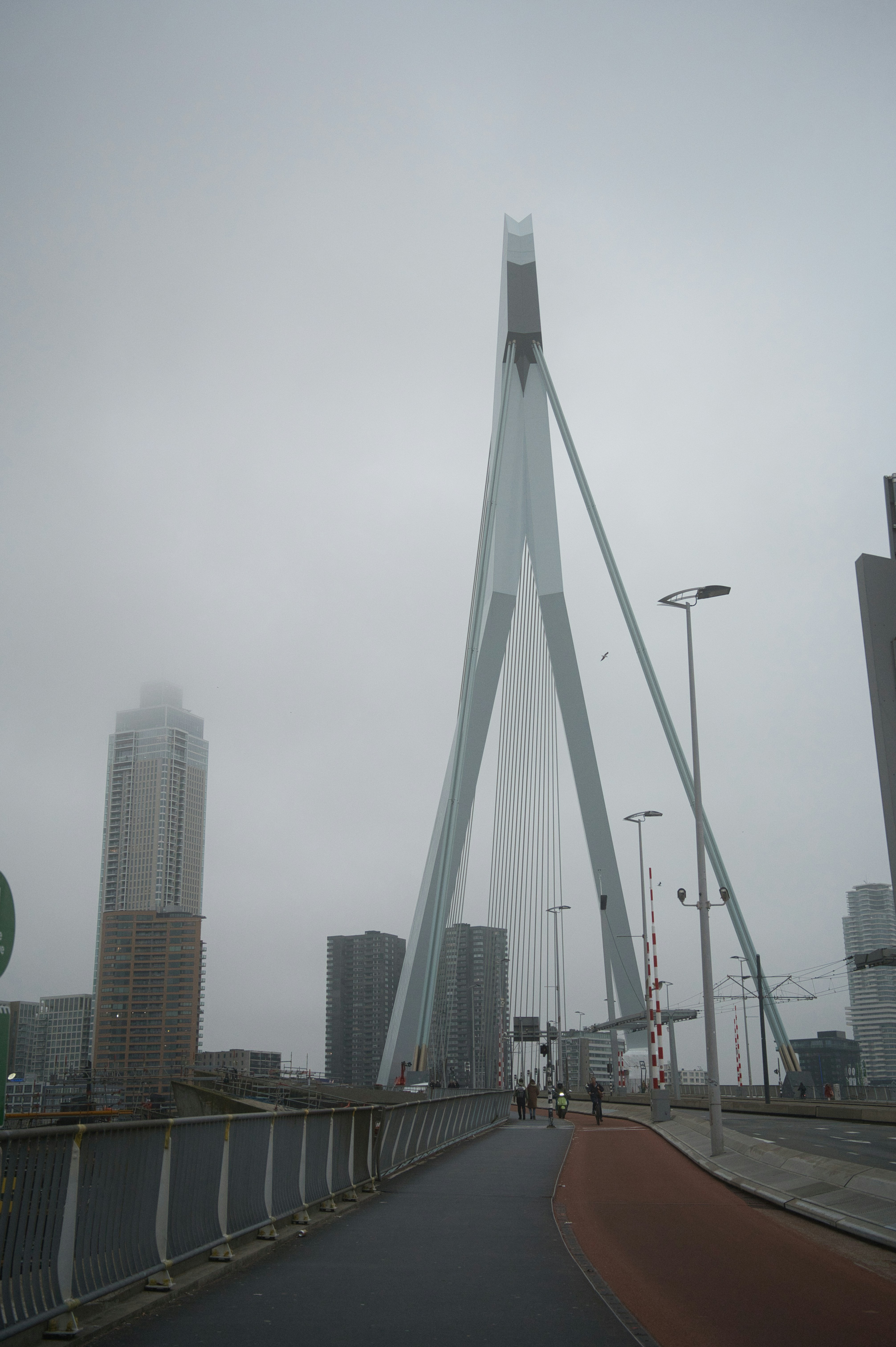 Photo by Harry Shelton with Nikon Z6 II