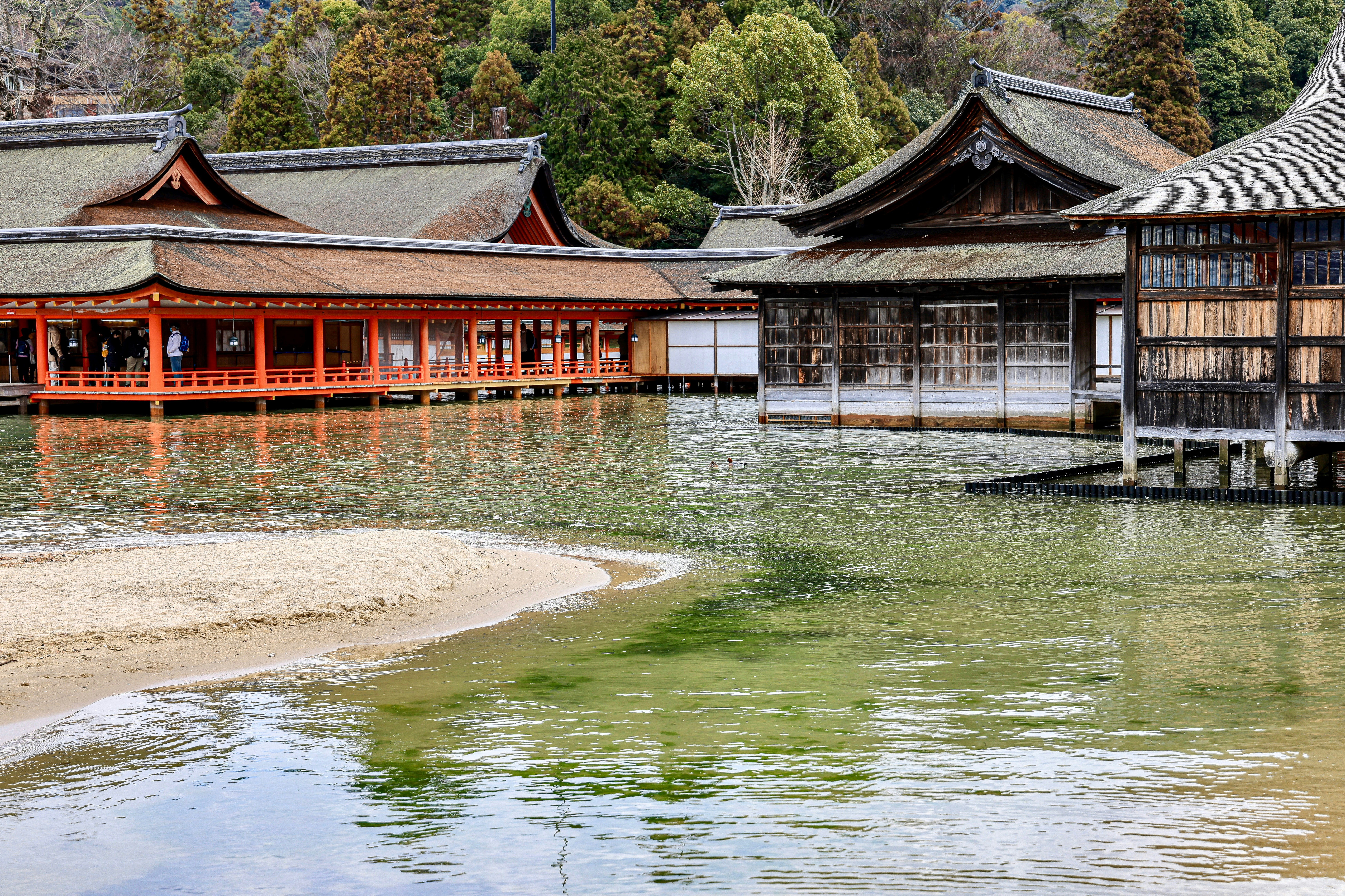 Red-Lacquered Shrine Pavilions Beside a Glassy Lagoon