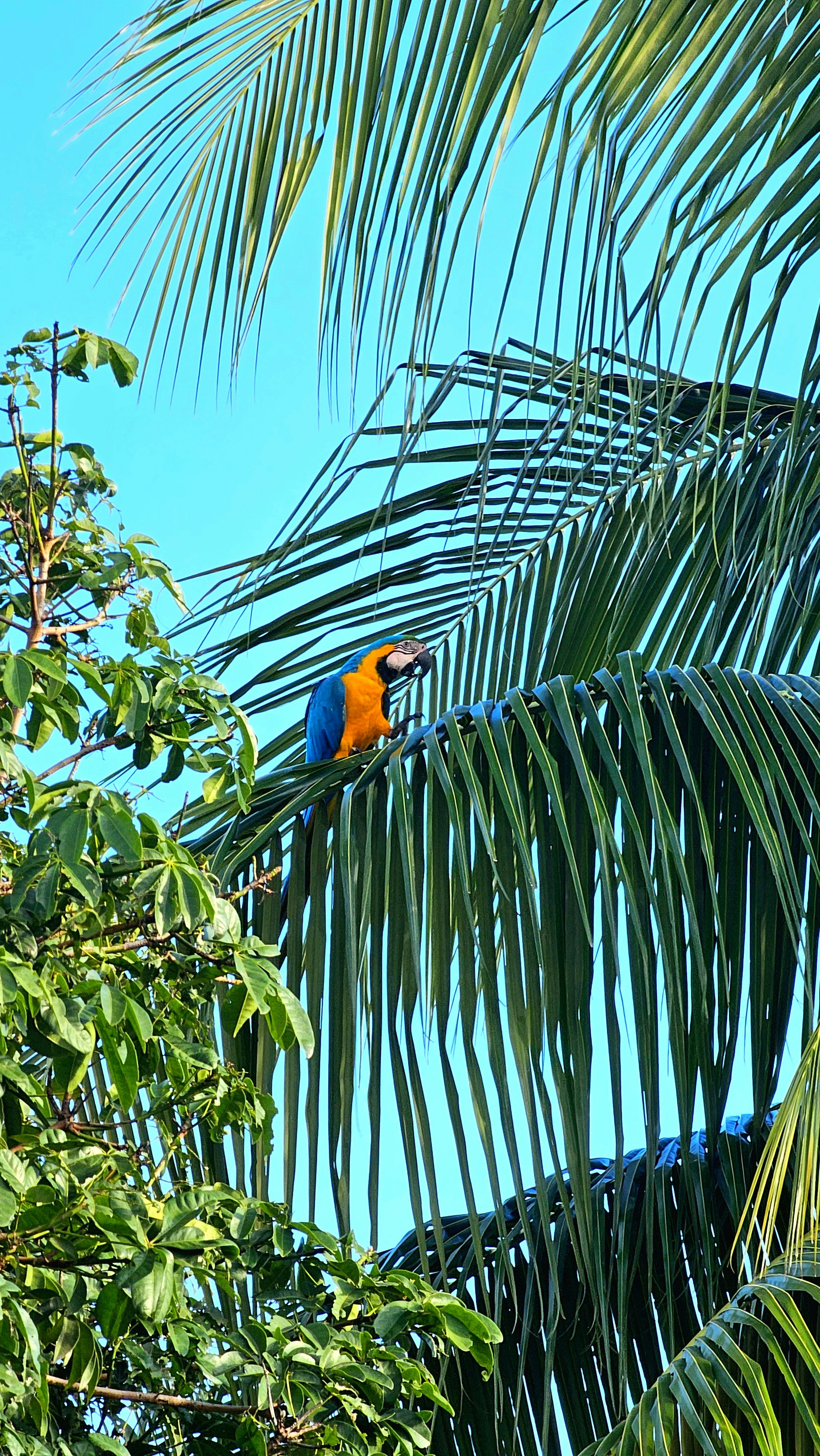 Photo by Willian Mateus Batista Oliveira with Samsung Galaxy S23 Ultra