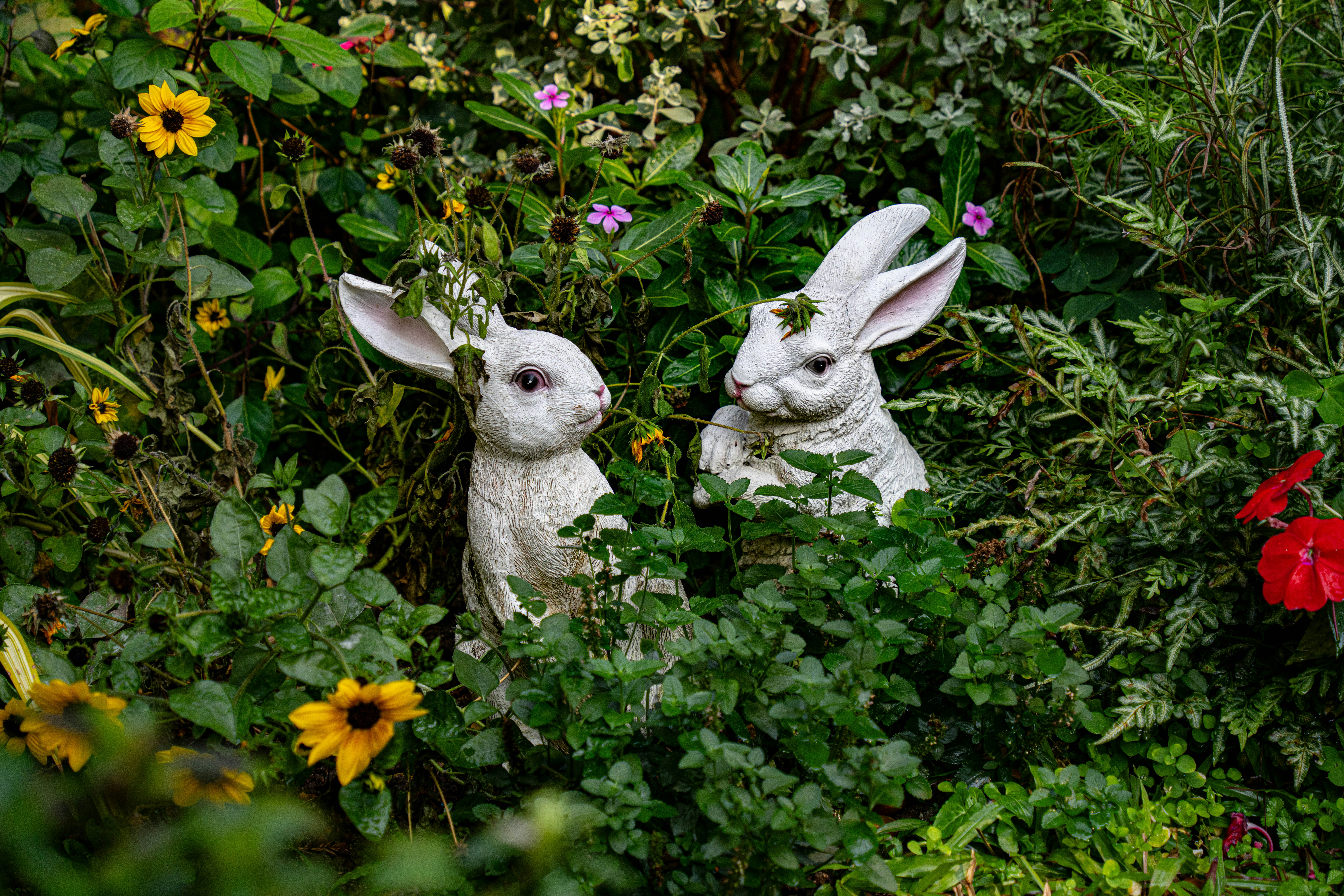 Two Stone Rabbits Guarding a Quiet Tangle of Blooms
