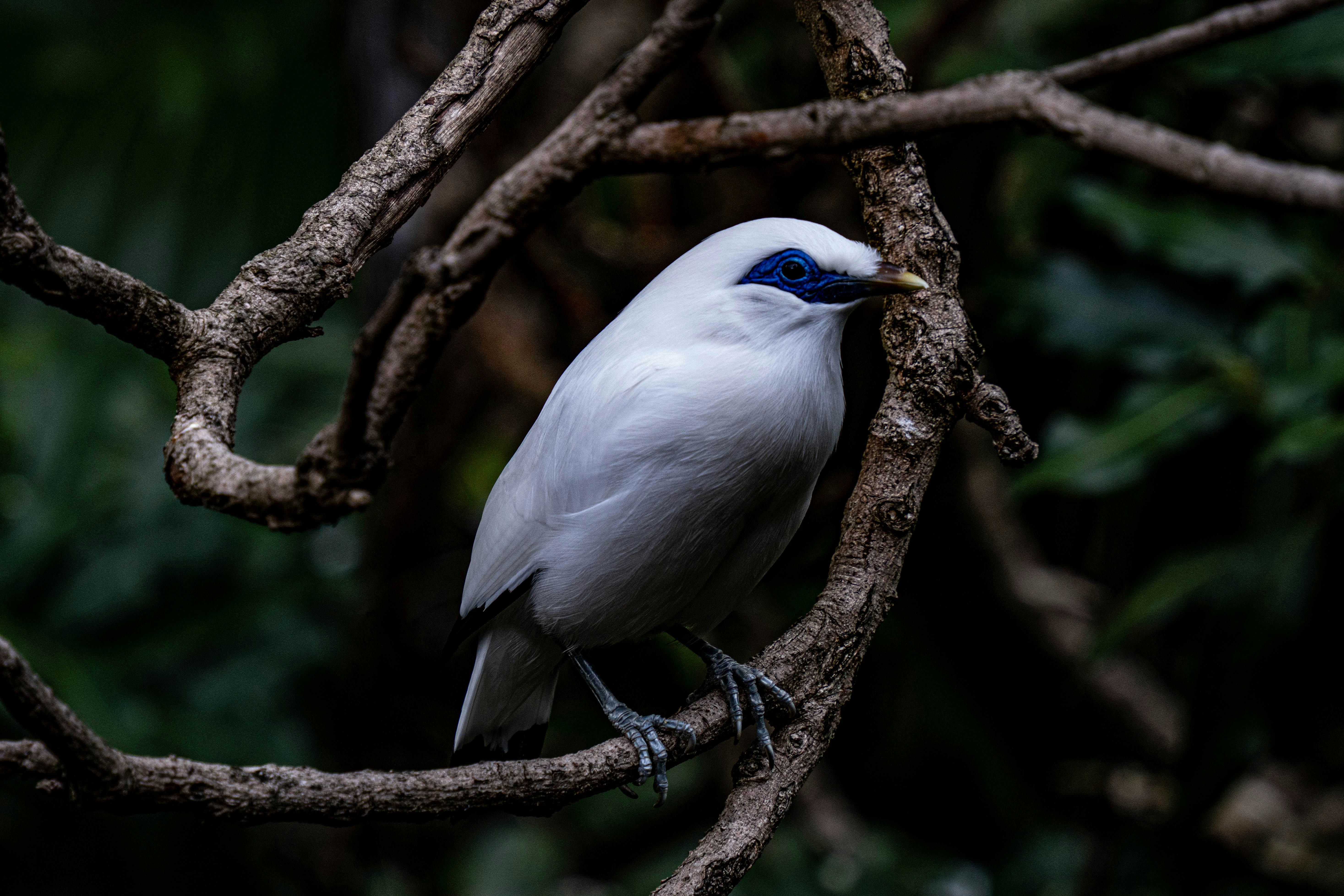 Photo by Ryan Chan with Sony Alpha 7C R