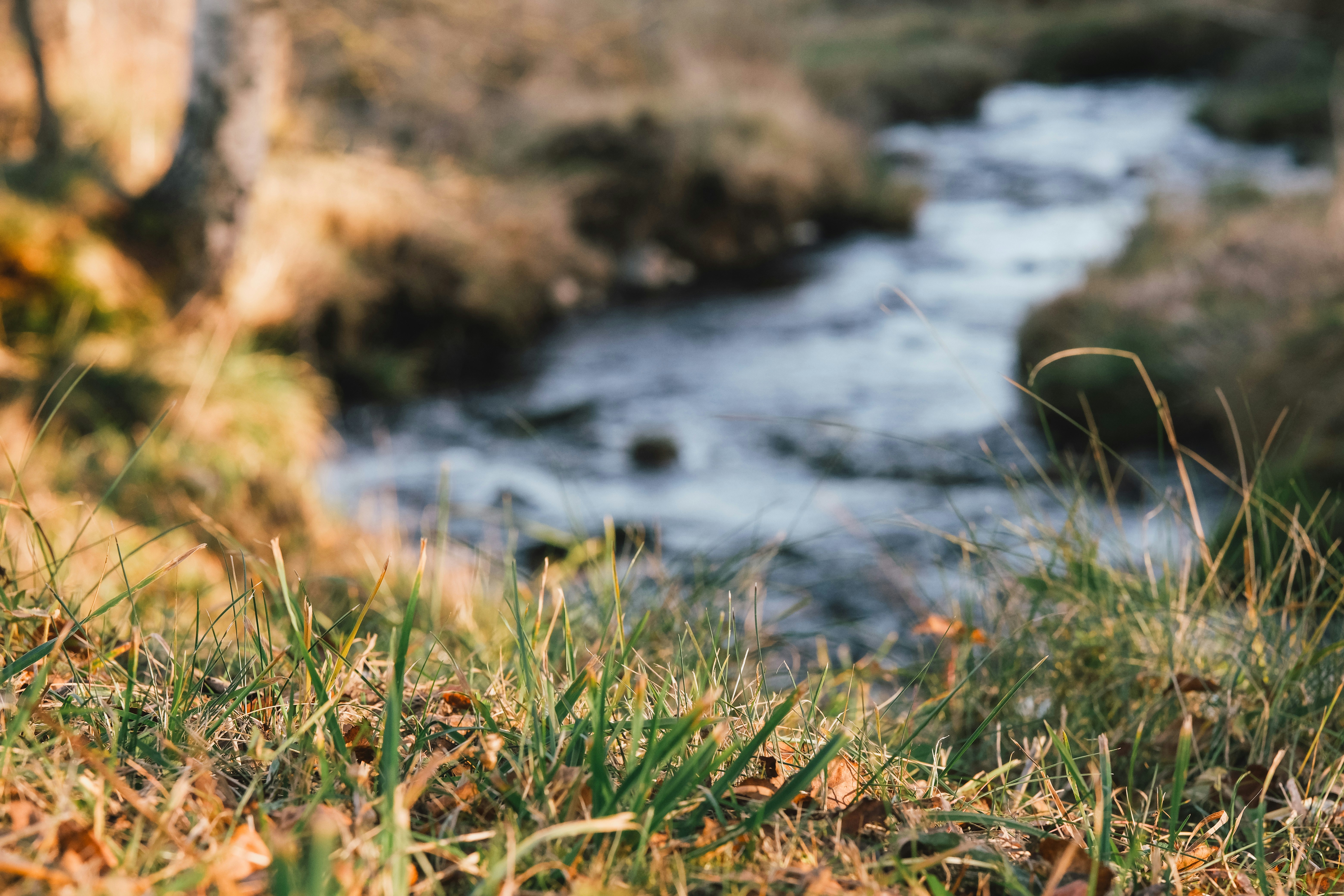 A blurry photo of a stream in the grass