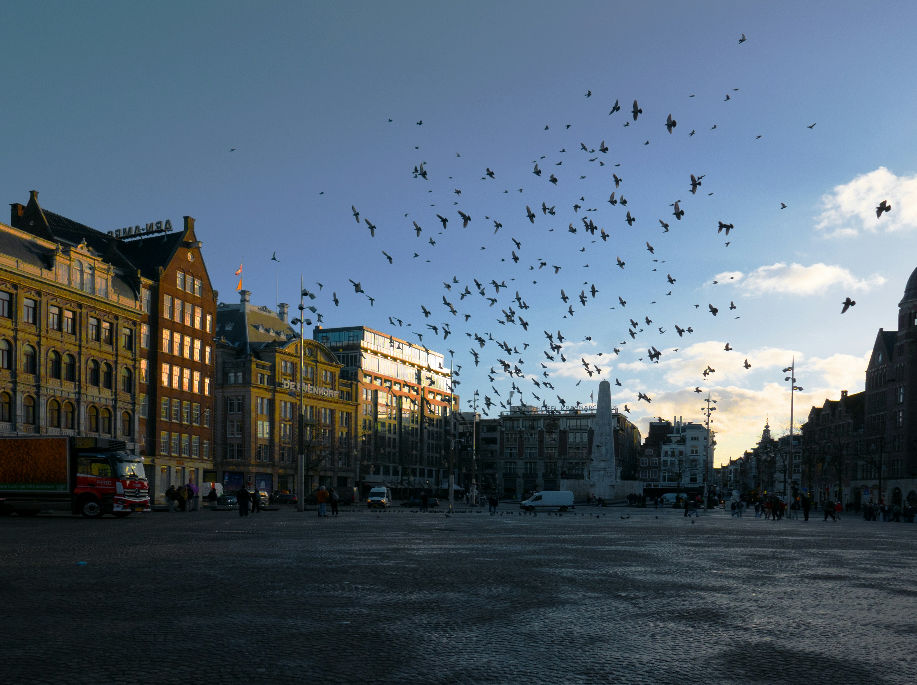 Flock of pigeons soaring above Dam Square in Amsterdam under a clear winter sky.