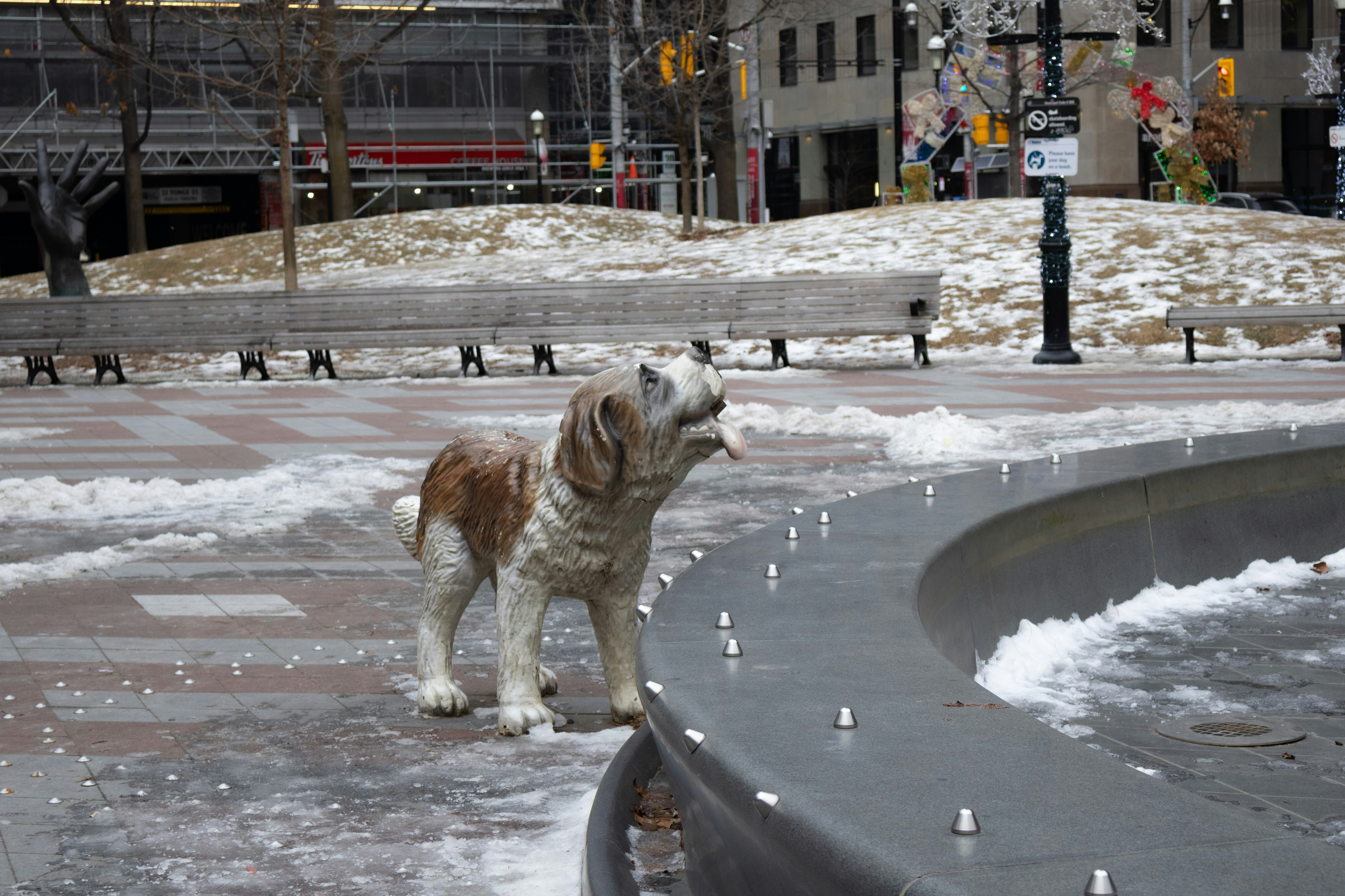 Pup on Patrol: A Retriever by the Circular Fountain in Snow