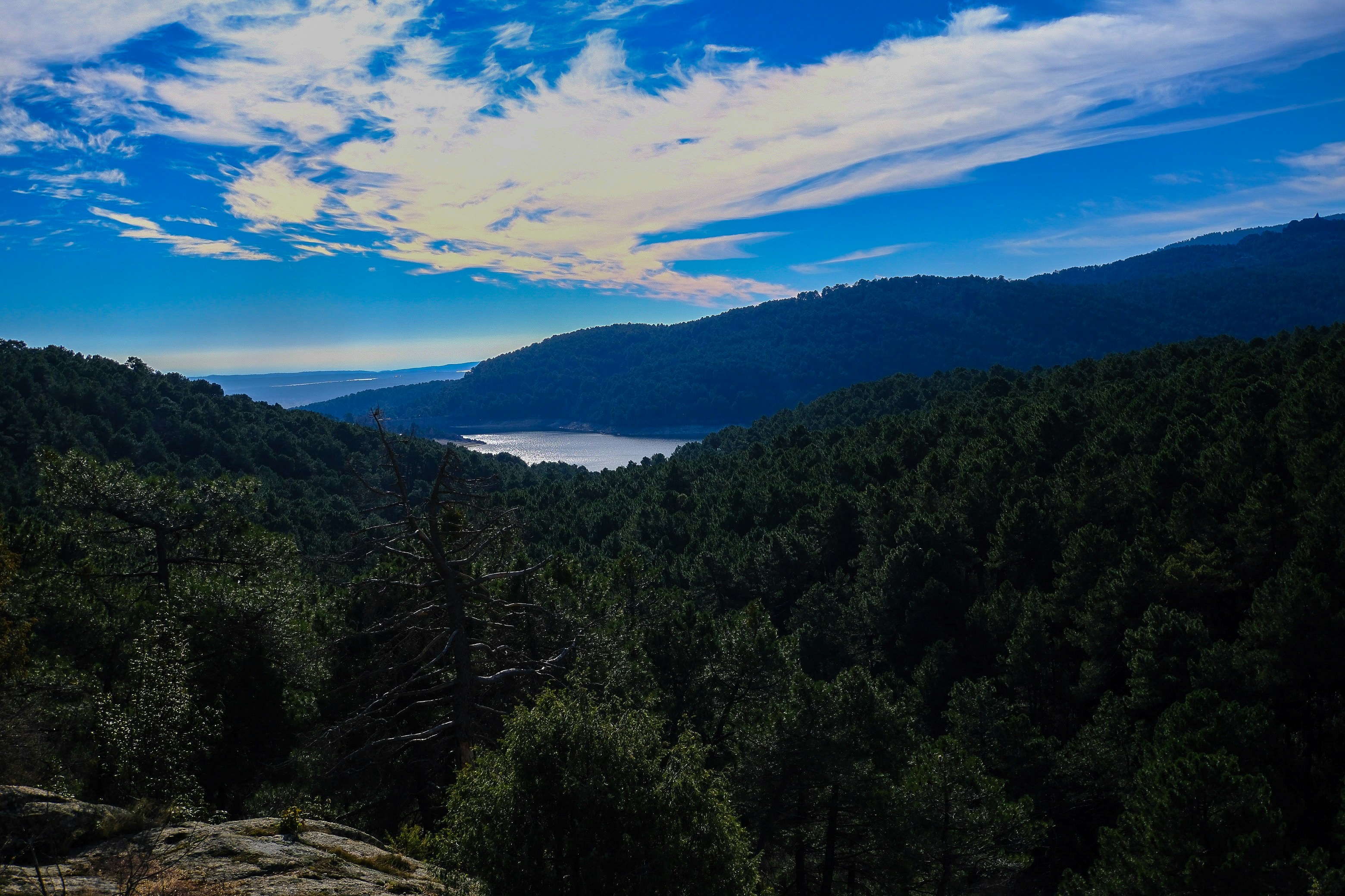 Blue Ridge Vista Overlooking a Serpentine Lake