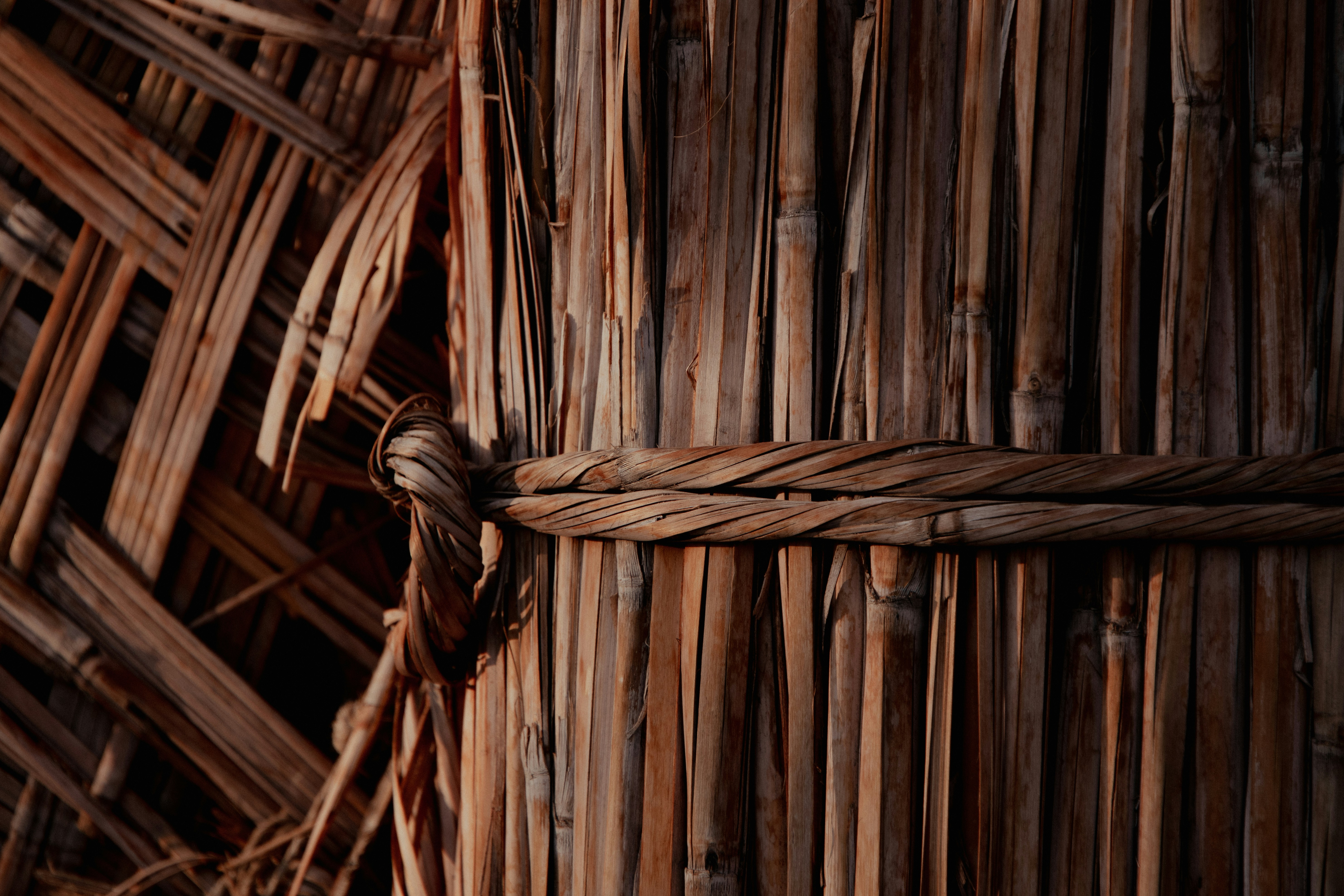 Close-up of woven reed textures displaying rich earthy hues and intricate patterns.