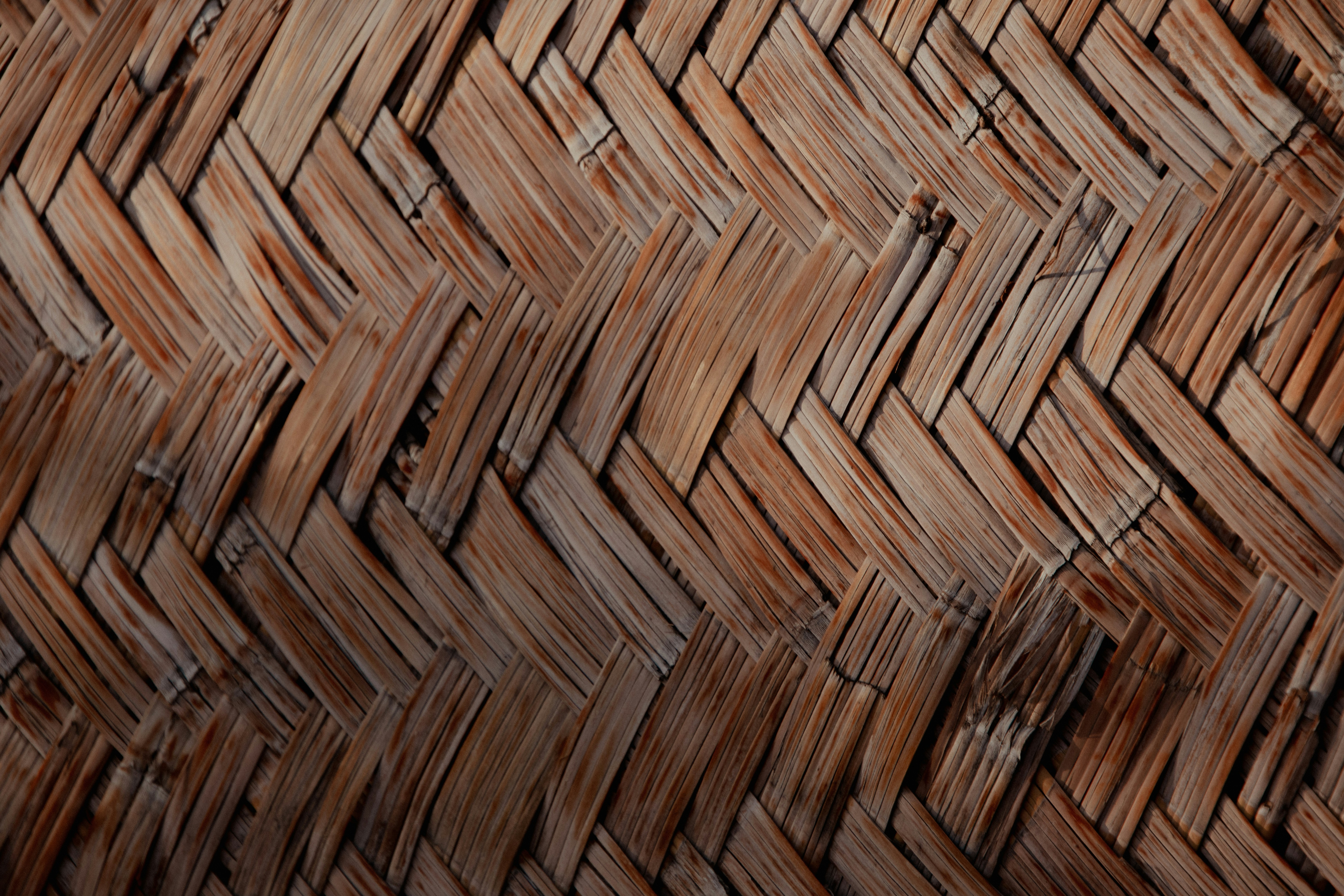 A close up view of a wood texture photo – Free Iraq Image on Unsplash