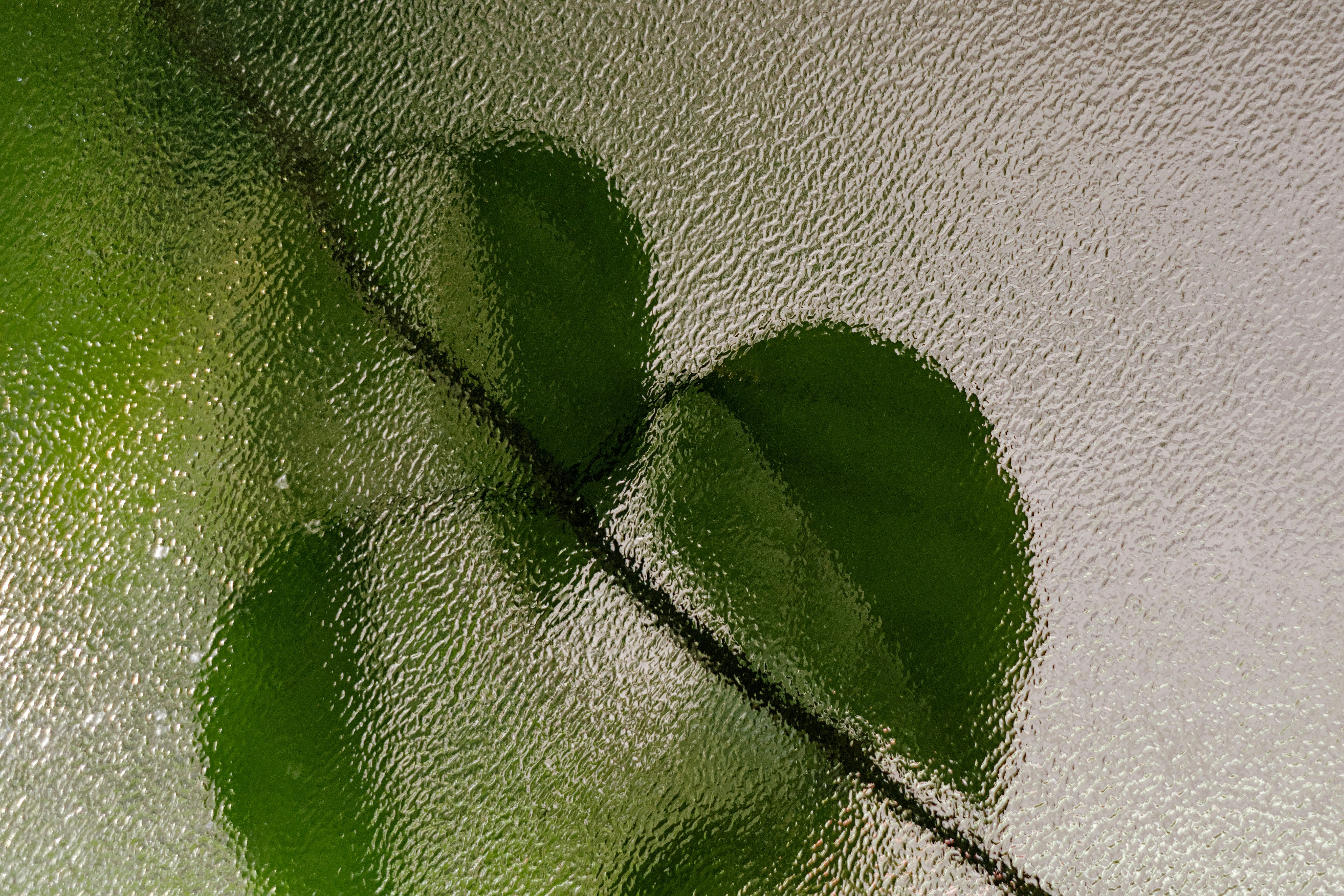 Beau Carpenter (@btcarpenter) | Unsplash Photo Community