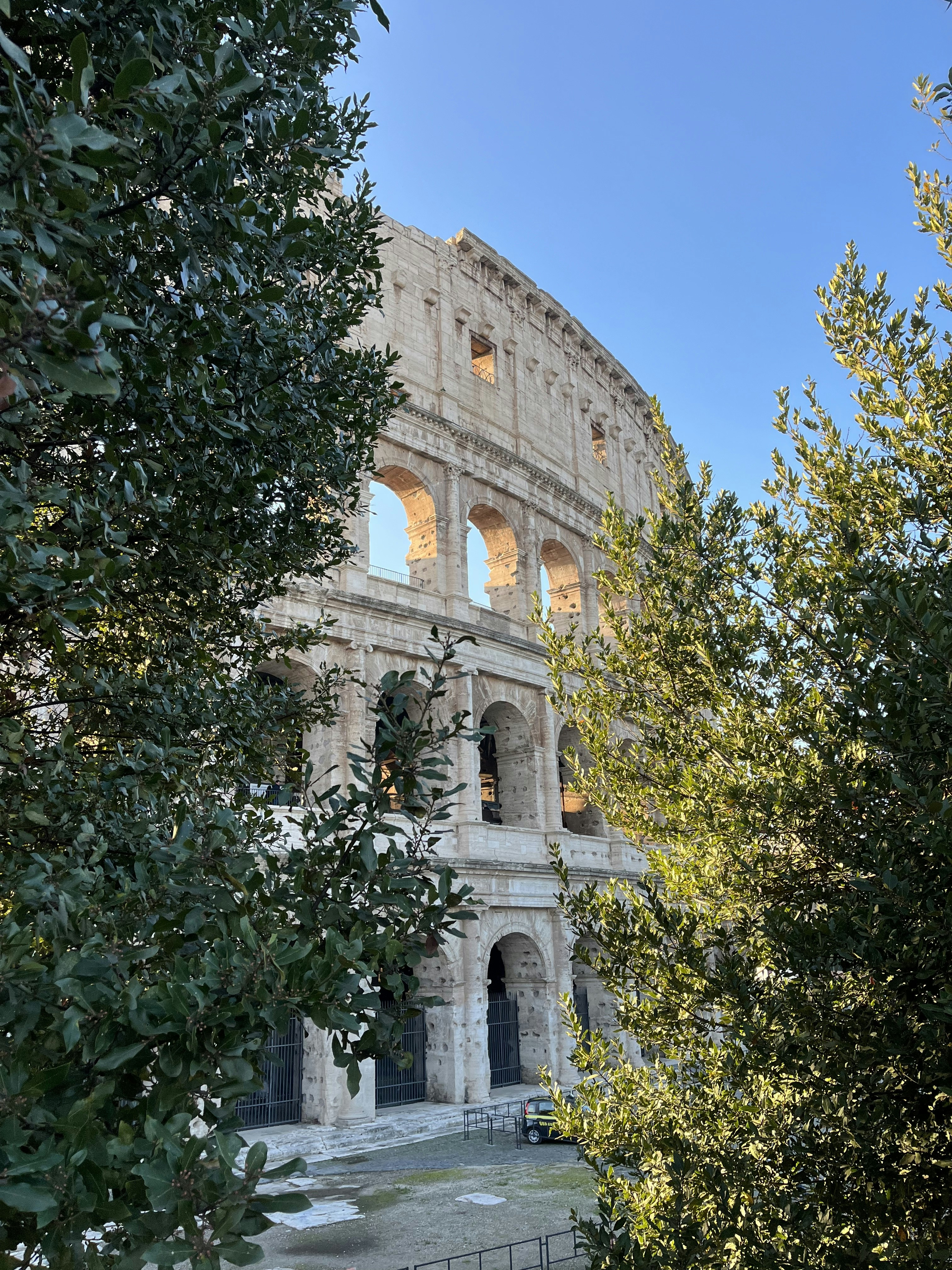 Green-Framed Colosseum: Sunlit Arches Between Dense Foliage