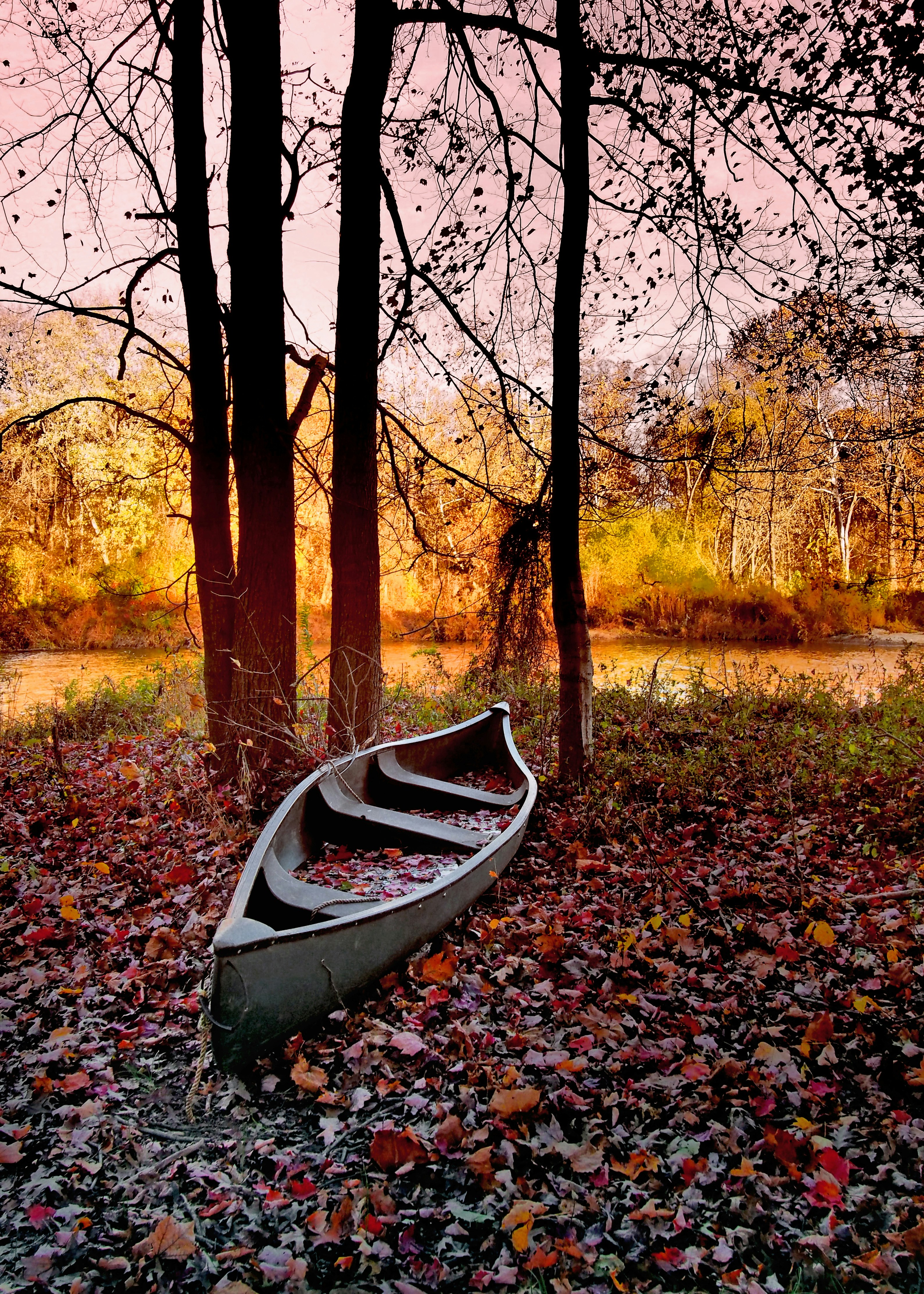 A lone canoe rests beside bare trees on a leaf-strewn shore, bathed in warm autumn light. This photograph emphasizes the vibrant foliage and calm lakeside mood.