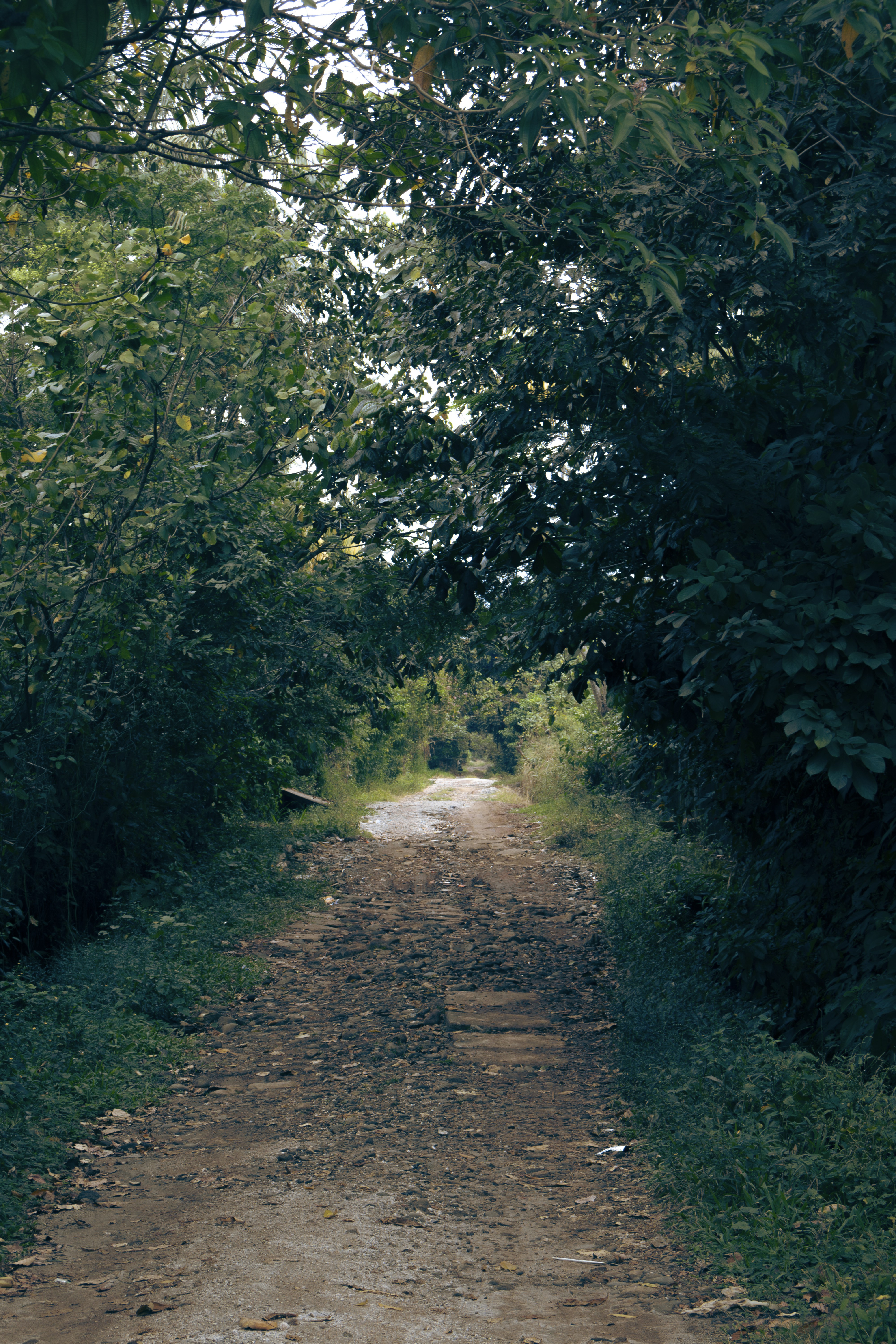 Photo by Kevin Serech with Canon EOS R100