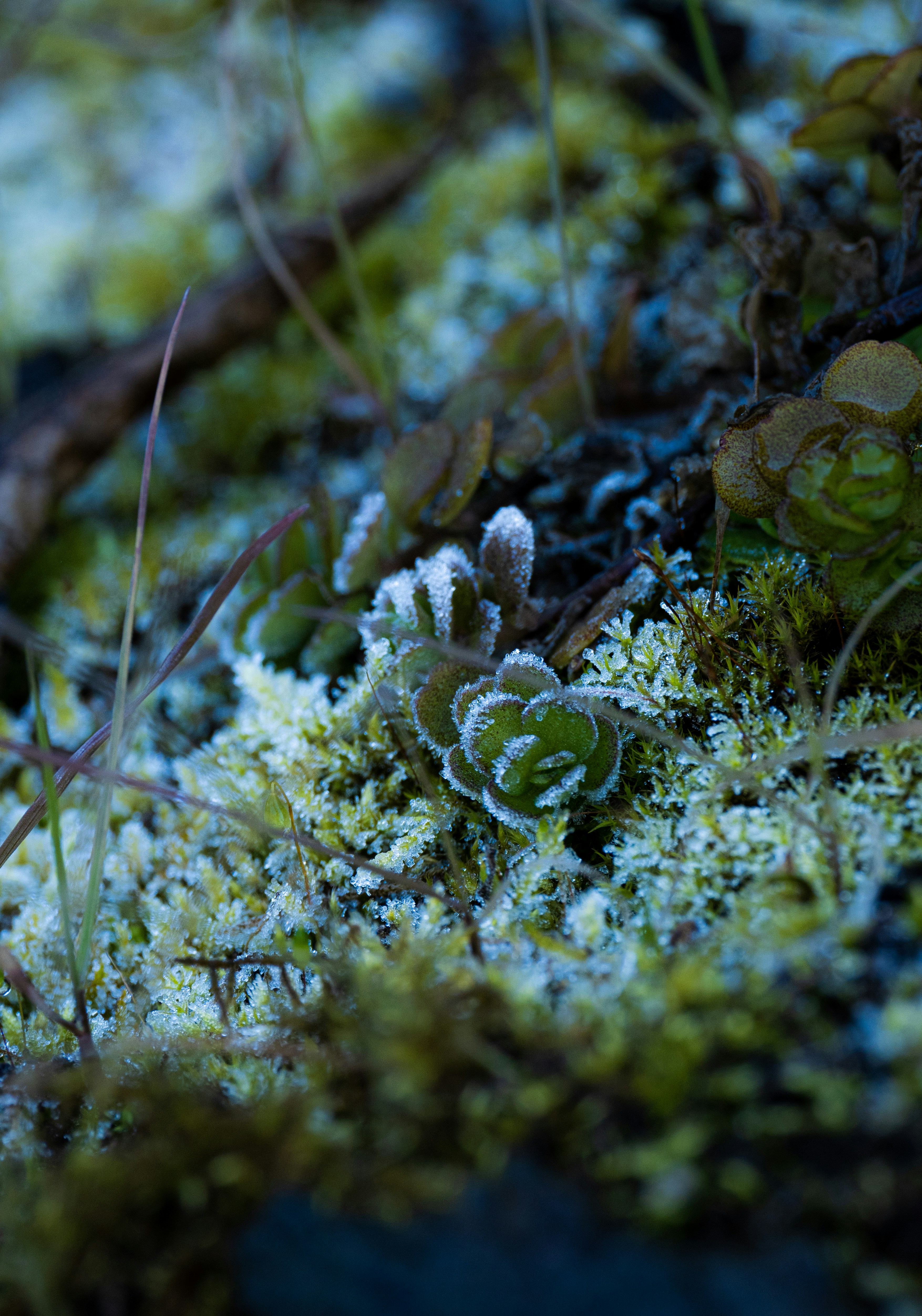 Photo by xiaoyu xie with Nikon Zfc