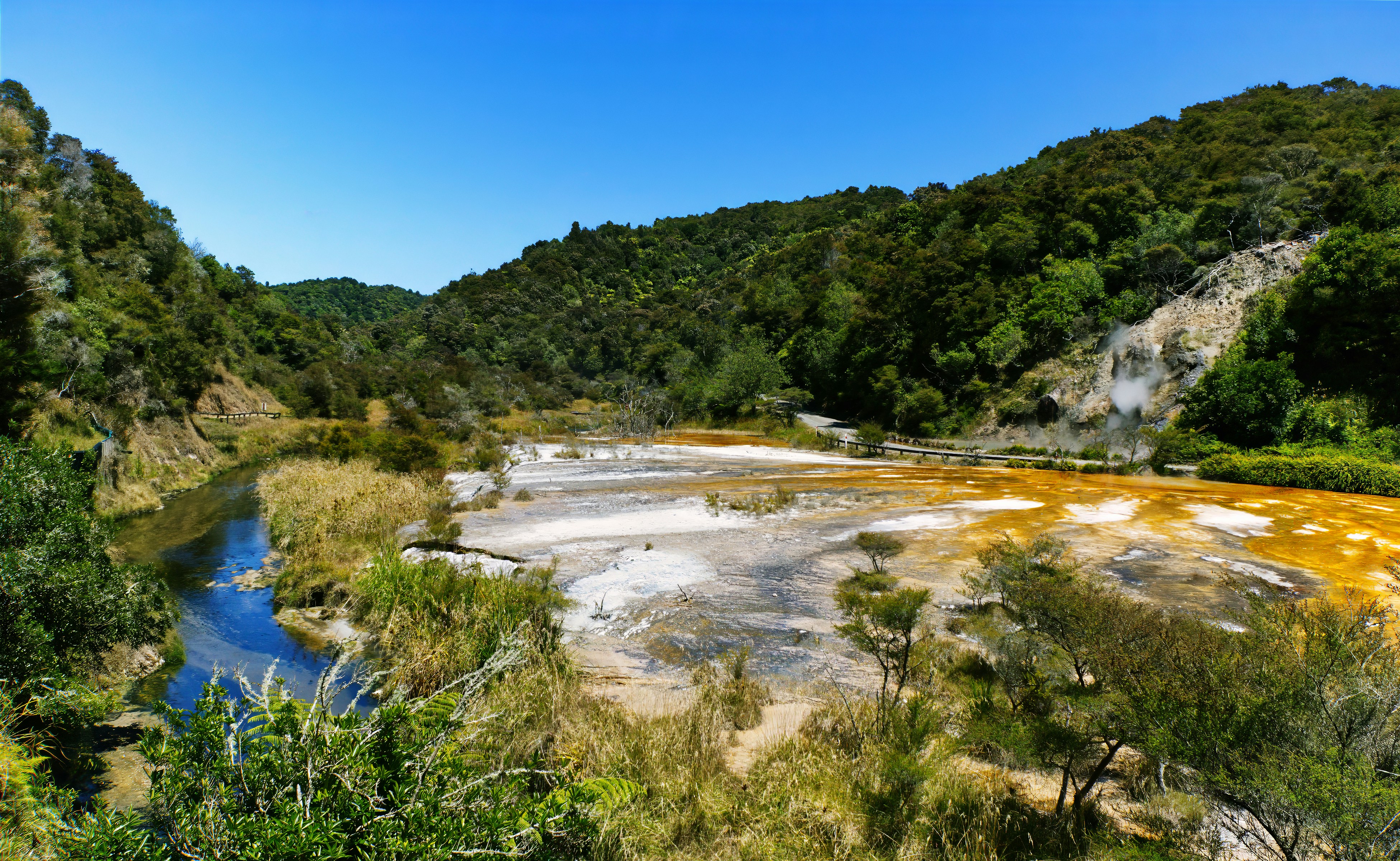 Vibrant geothermal landscape with steaming vents and mineral deposits surrounded by lush greenery.