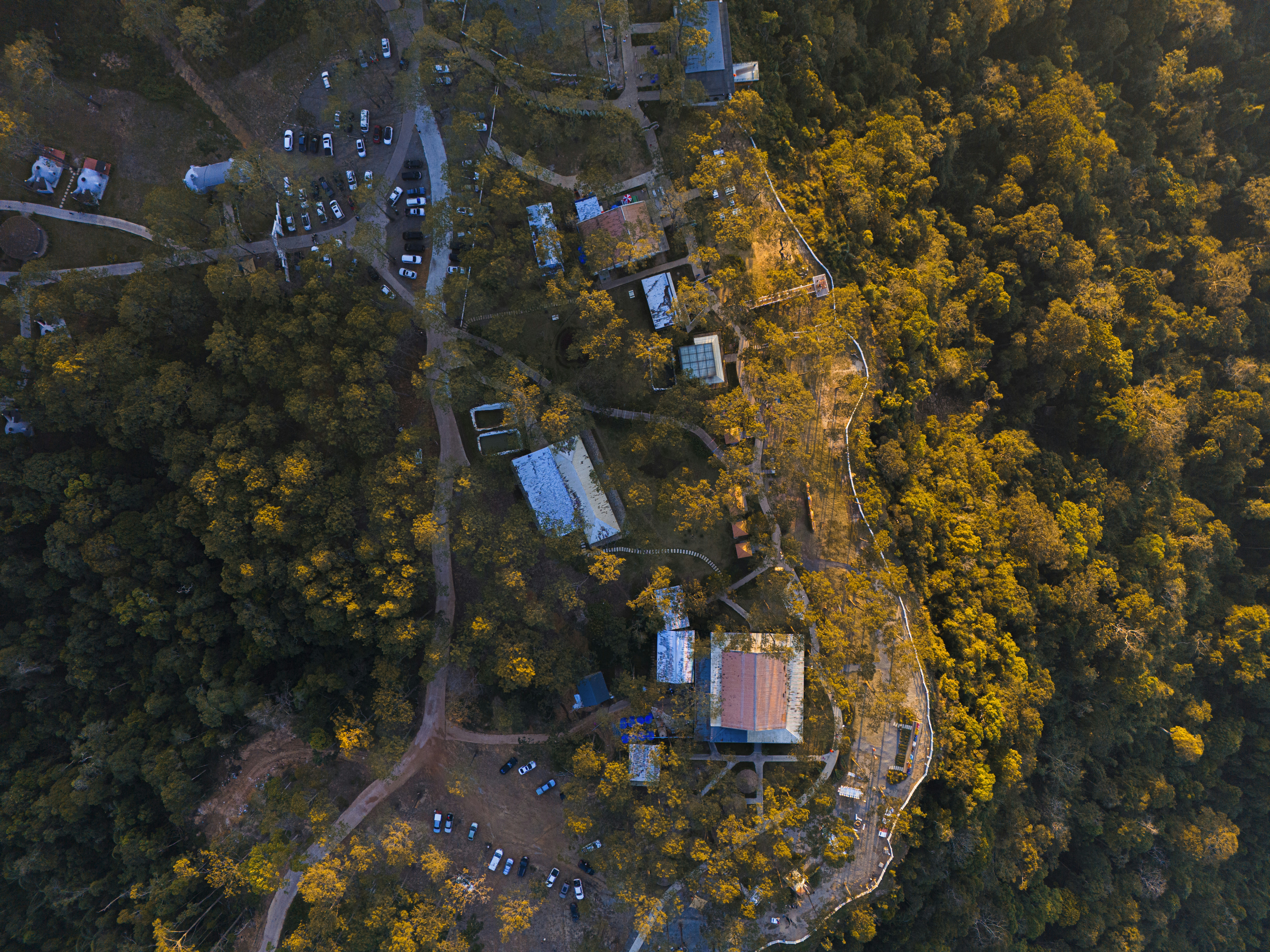 Aerial view of a forested village with winding roads and scattered buildings bathed in warm golden-hour light.